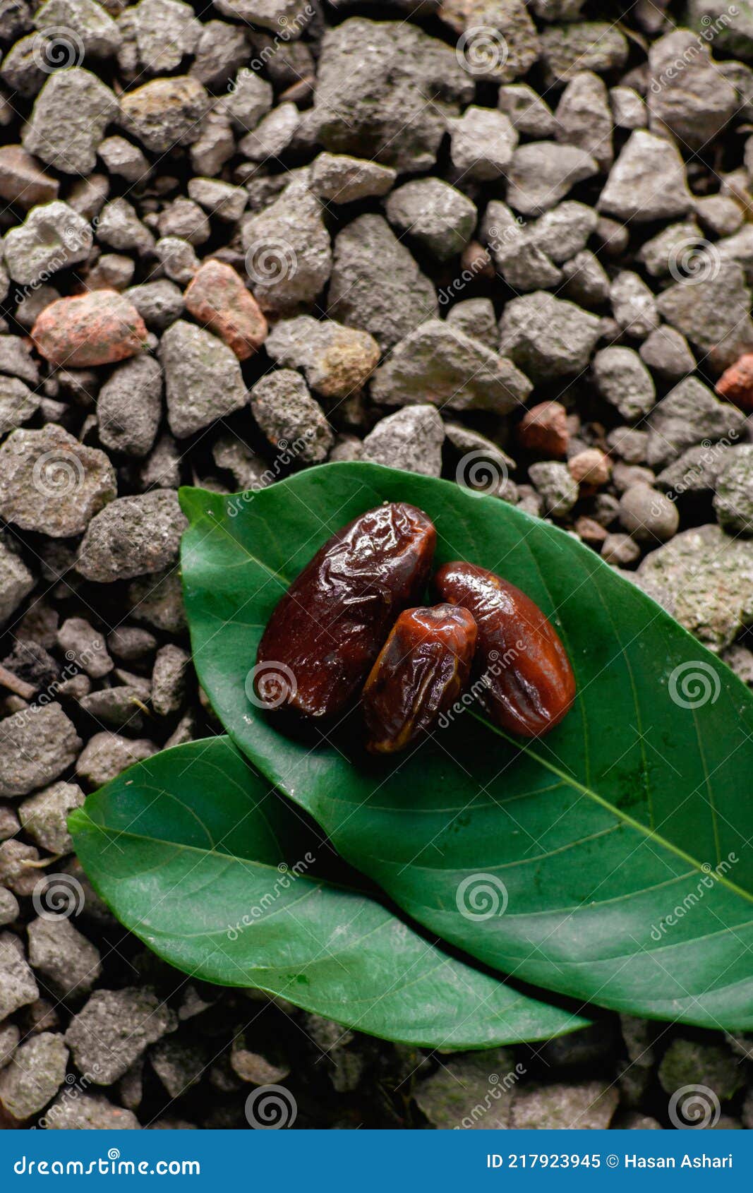 Three Dates on Top of Leaves on Gravel Stock Image - Image of vegetable ...