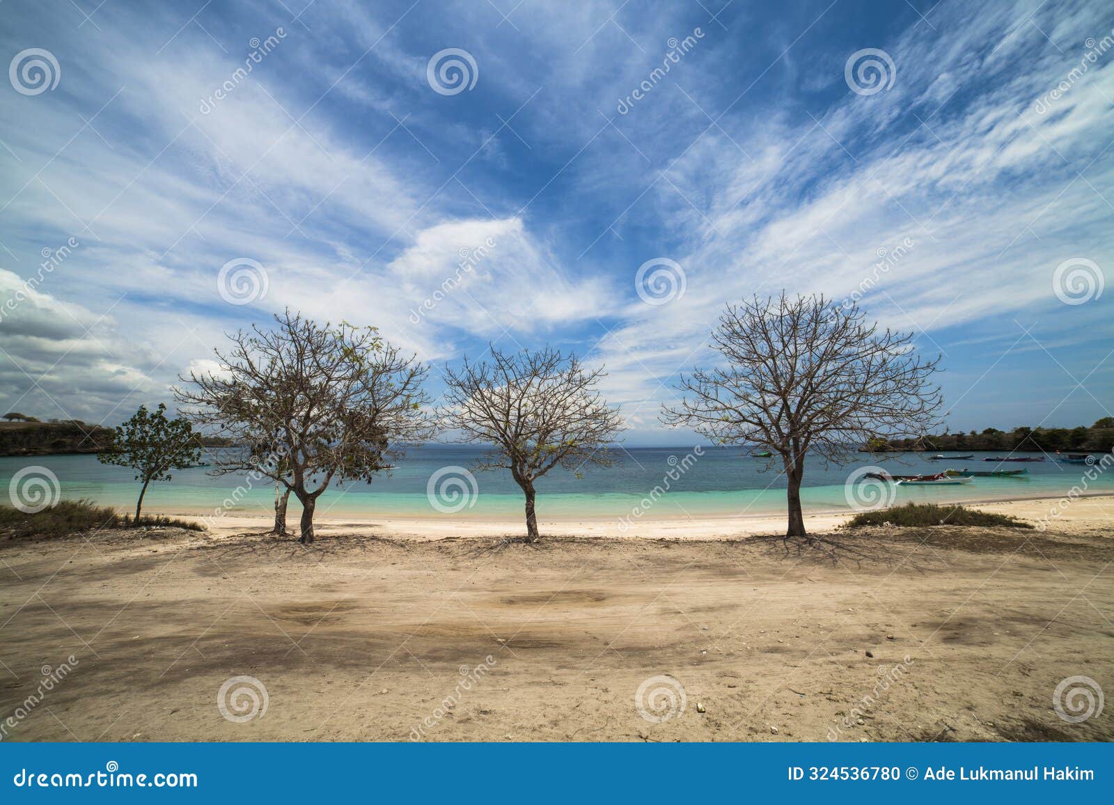 Three Dead Trees, Pink Beach Lombok Indonesia Stock Photo - Image of ...