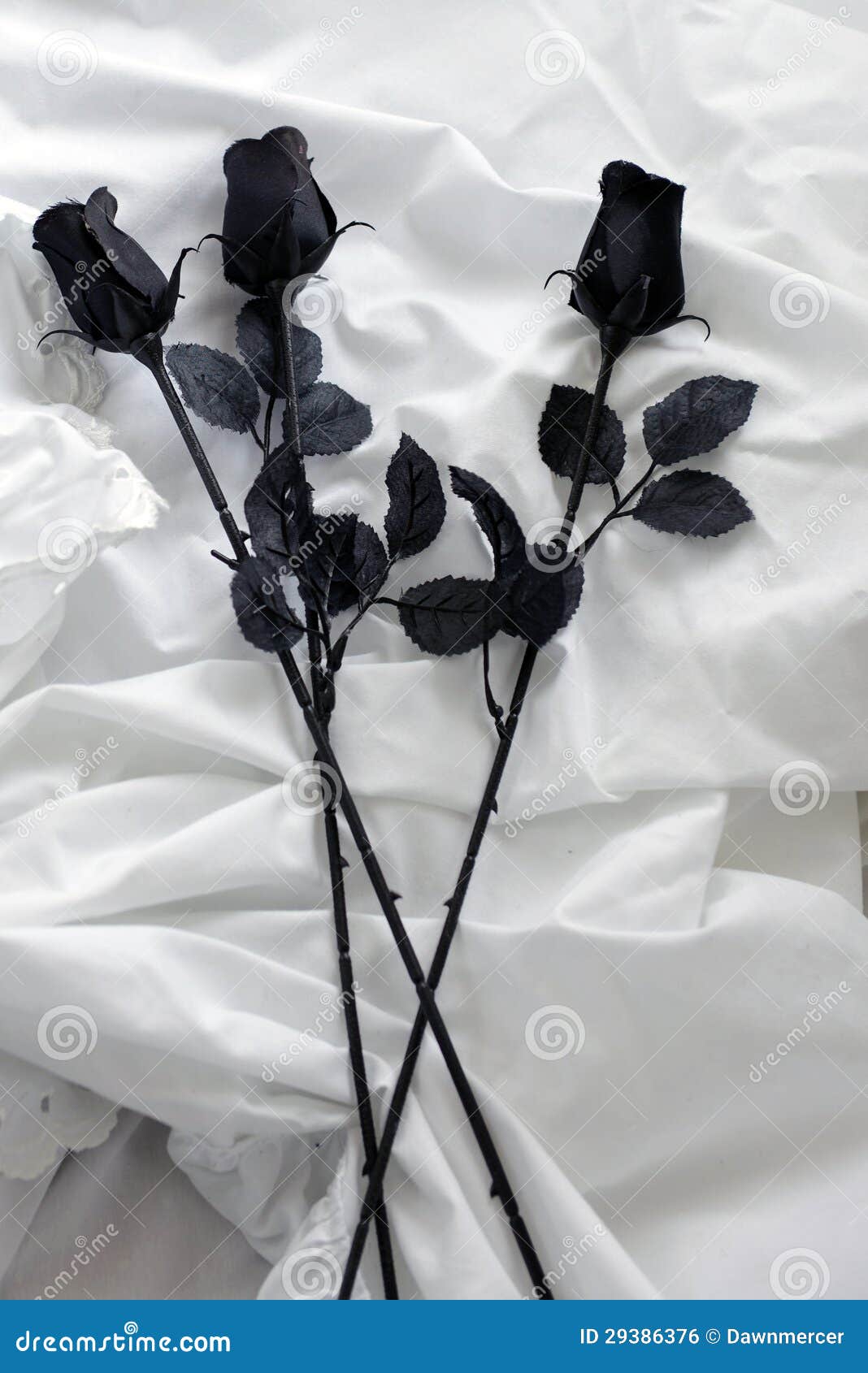 Three Decorative Black Roses Stock Photo - Image of decor, bouquet ...