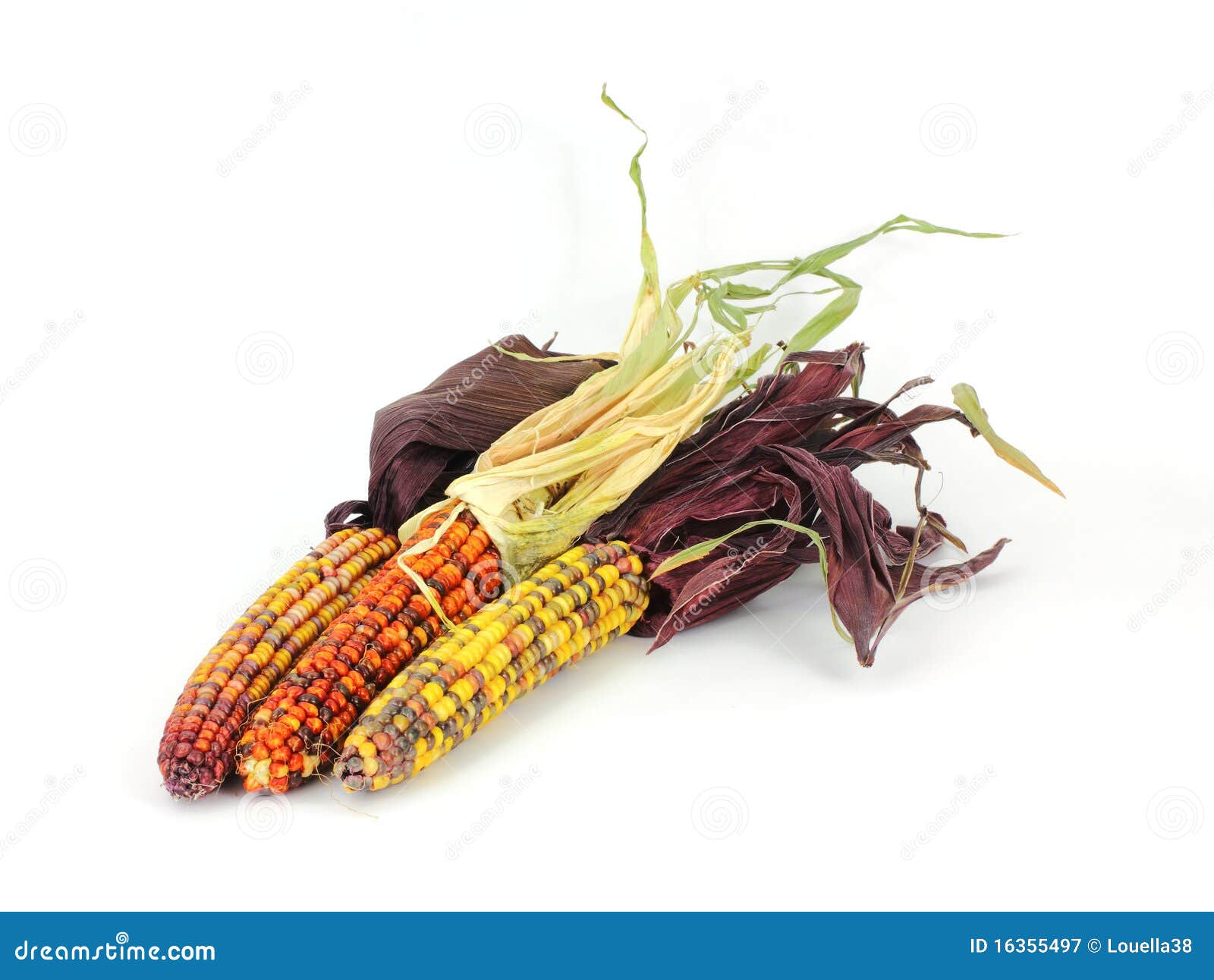 Three Decorative Fall Corn Cobs Stock Image - Image of yellow, husks ...