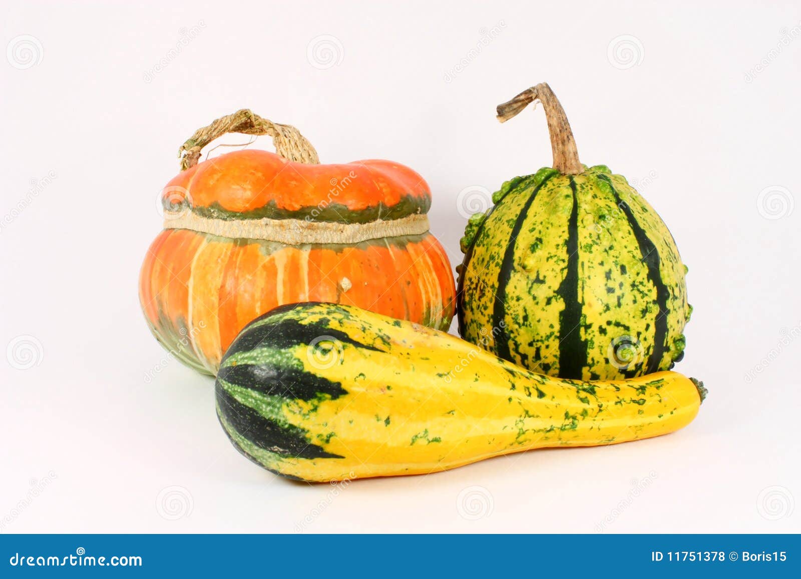 Three decorative gourds stock photo. Image of harvest - 11751378