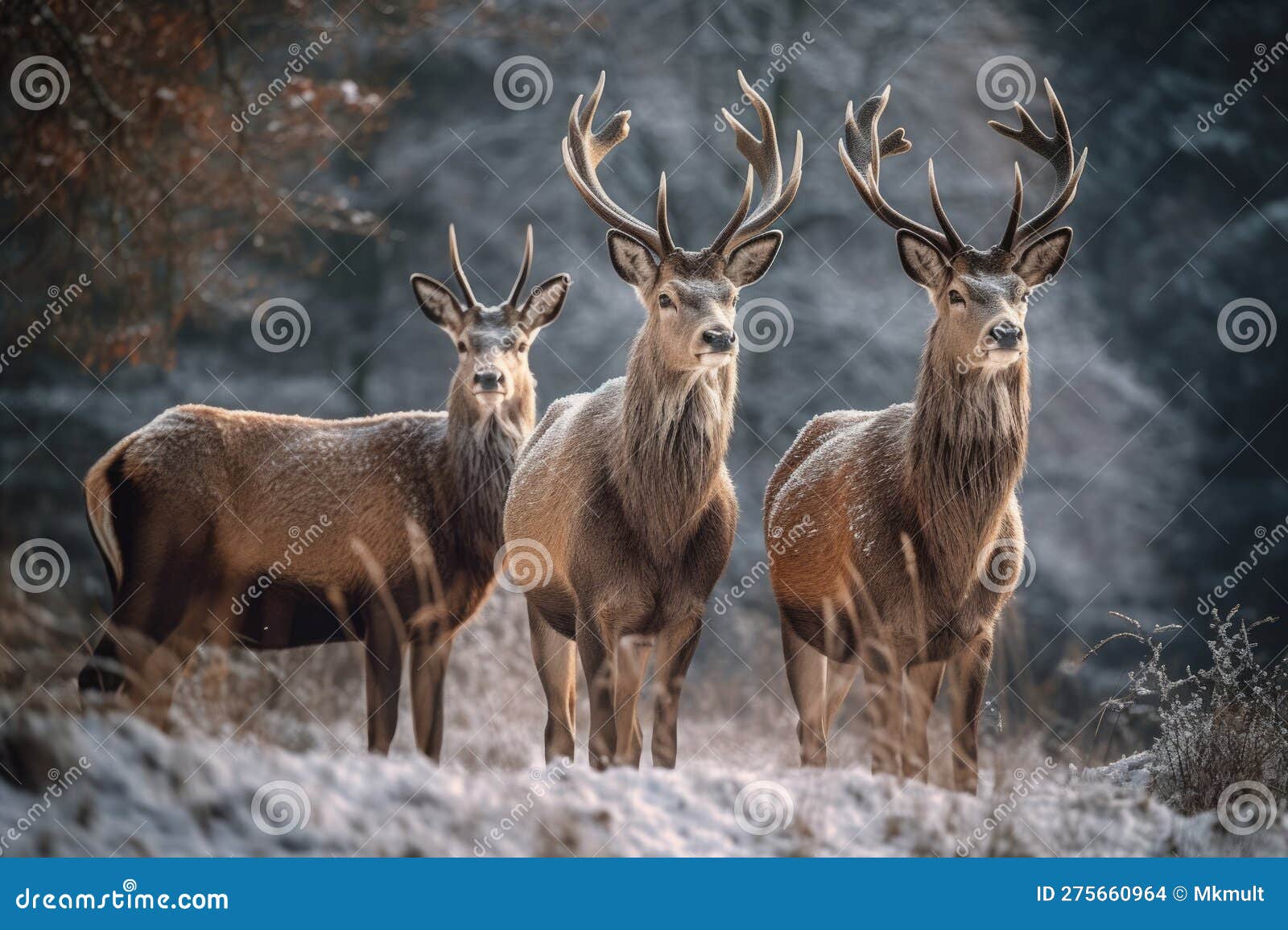 Three Deer in a Snowy Field Generative AI Stock Illustration ...
