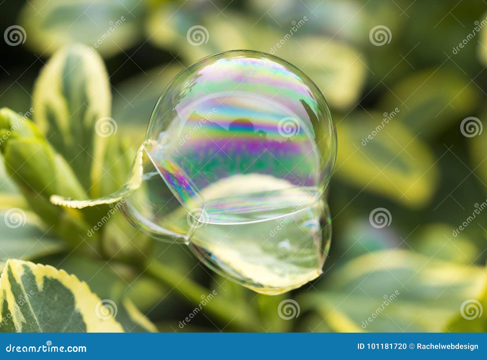 Three Delicate Soap Bubbles Stacked upon One Another Like Ideas, the ...