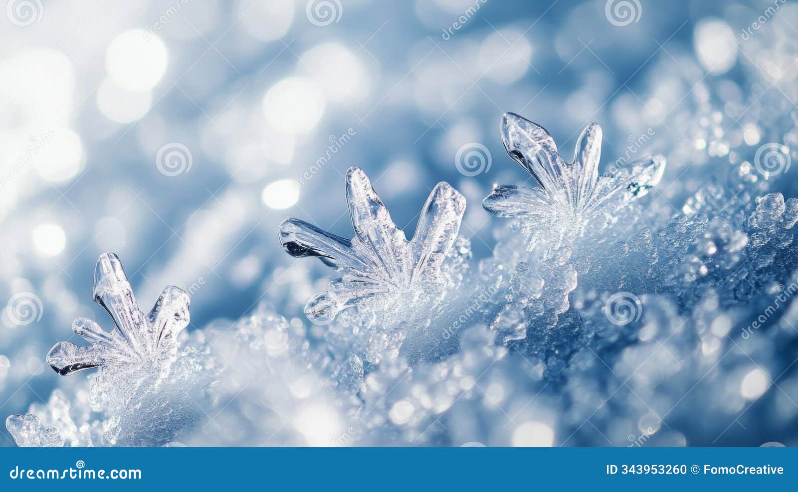 Three Detailed Snowflakes on a Frozen Surface Stock Illustration ...