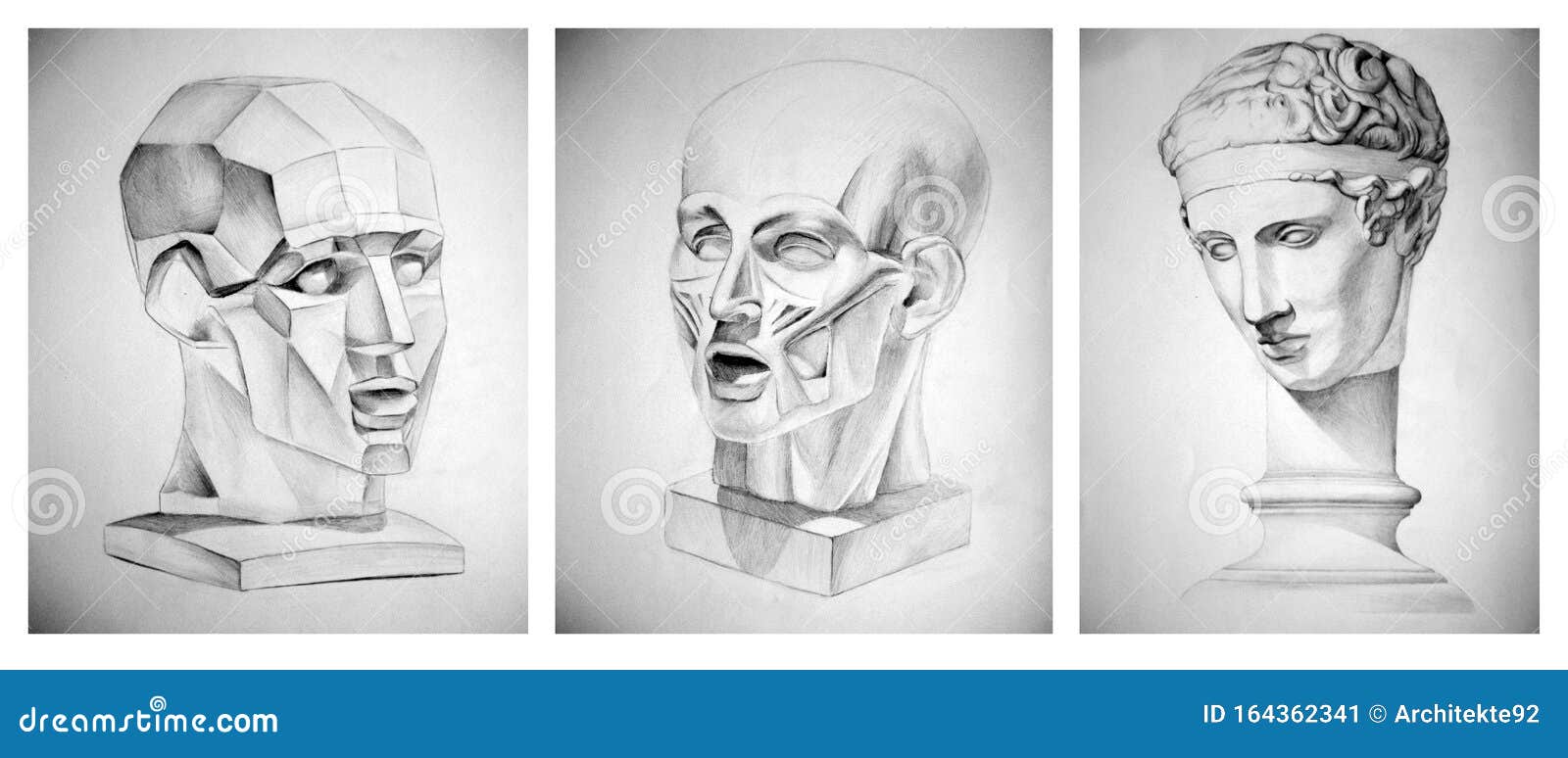 Pencil Academic Drawing of Sculptured Heads Stock Illustration ...