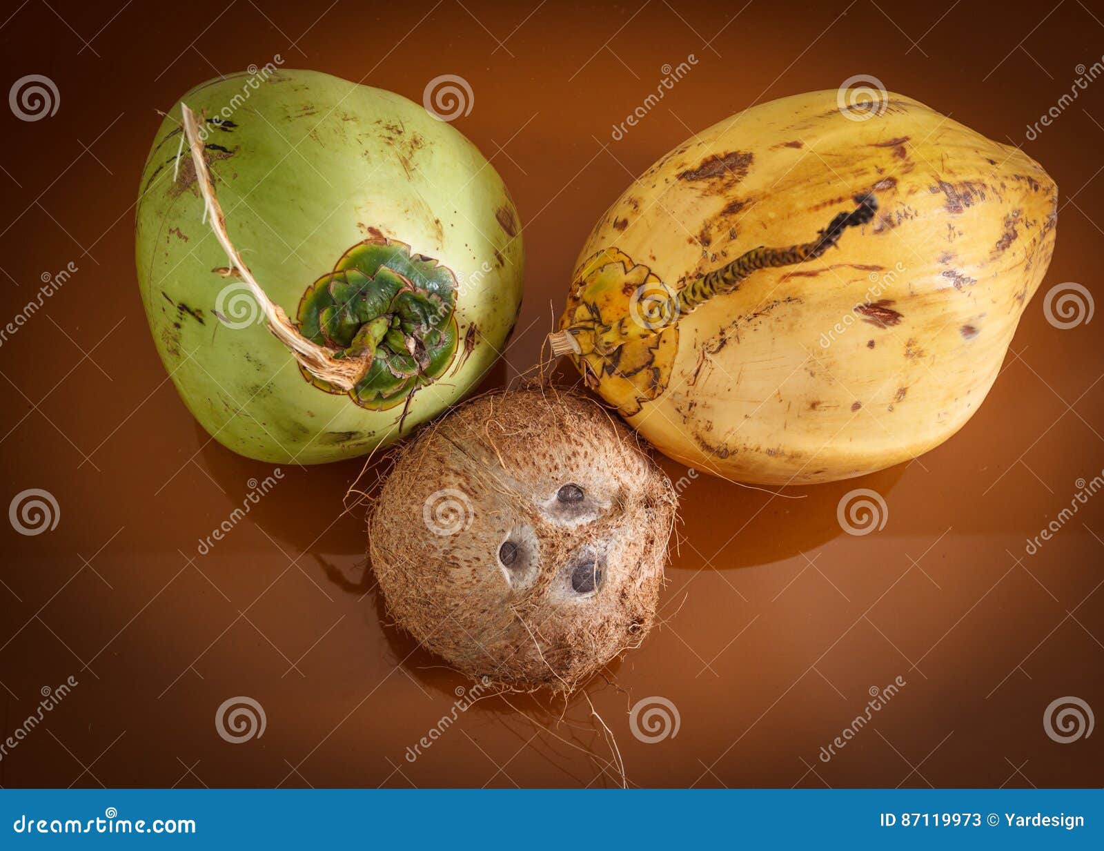 Three Different Coconuts on Table Stock Image - Image of food, chose ...
