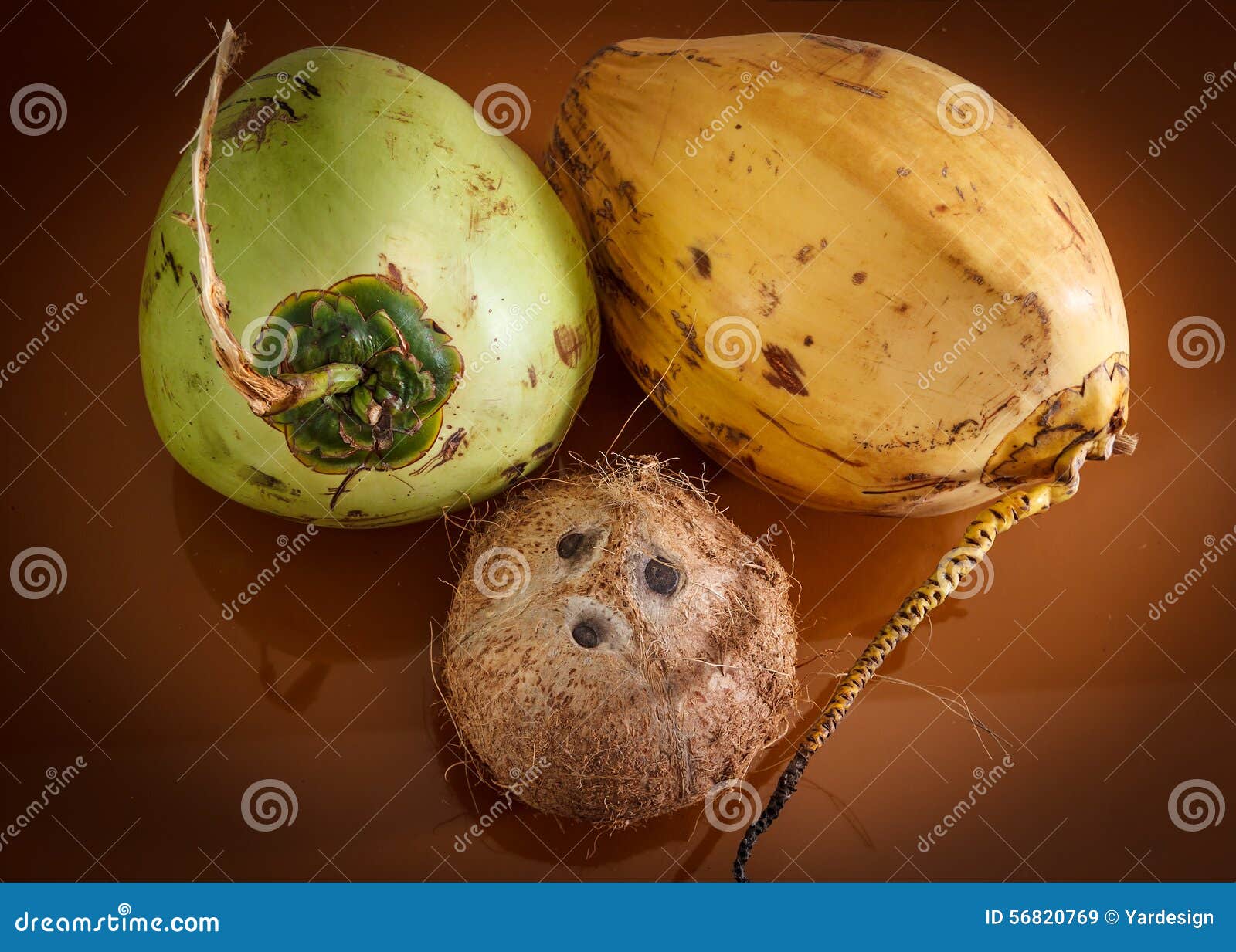 Three different coconuts stock image. Image of coconut - 56820769