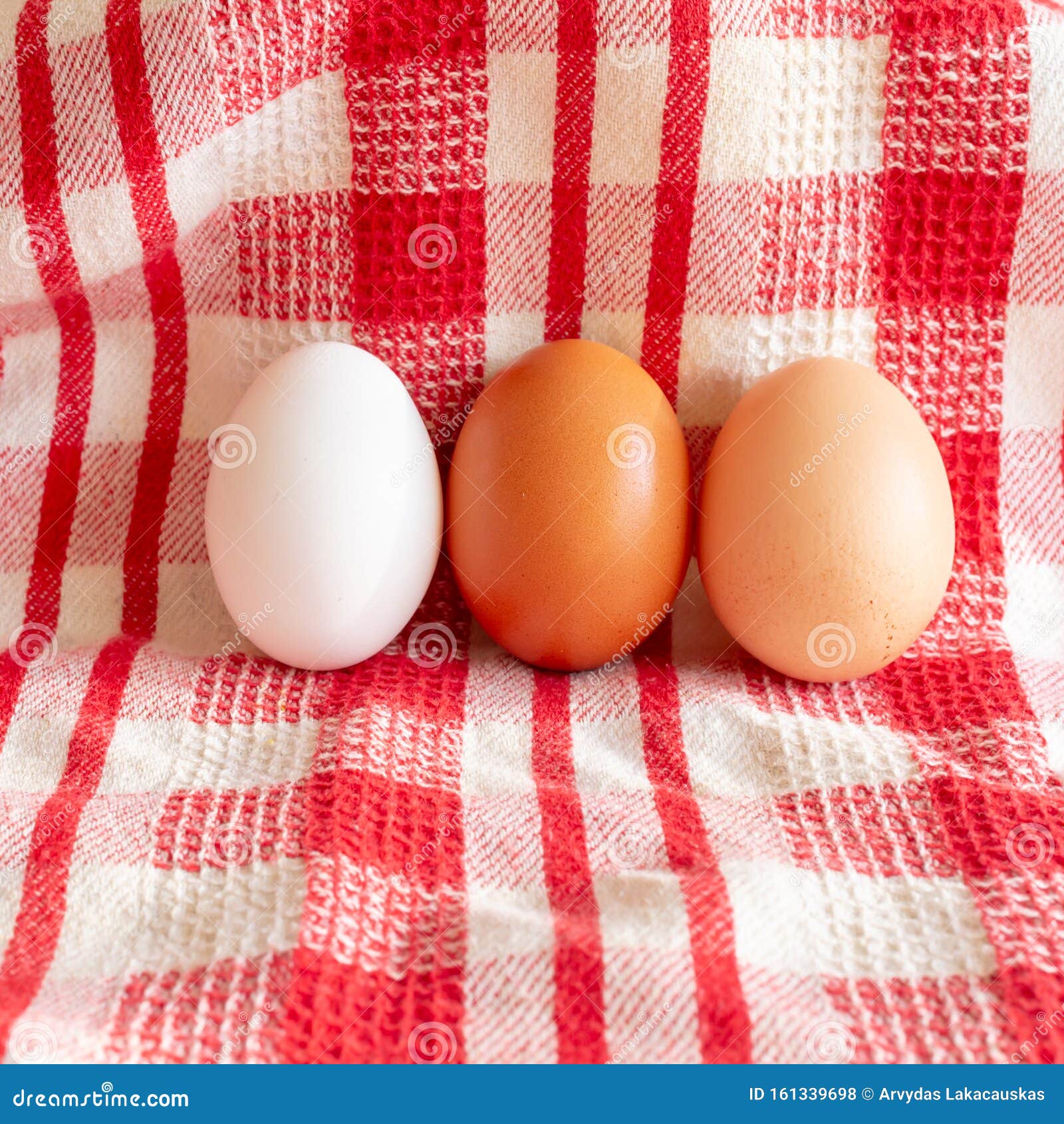 Three Different Colored Eggs, Concept Image for Equality Stock Photo ...