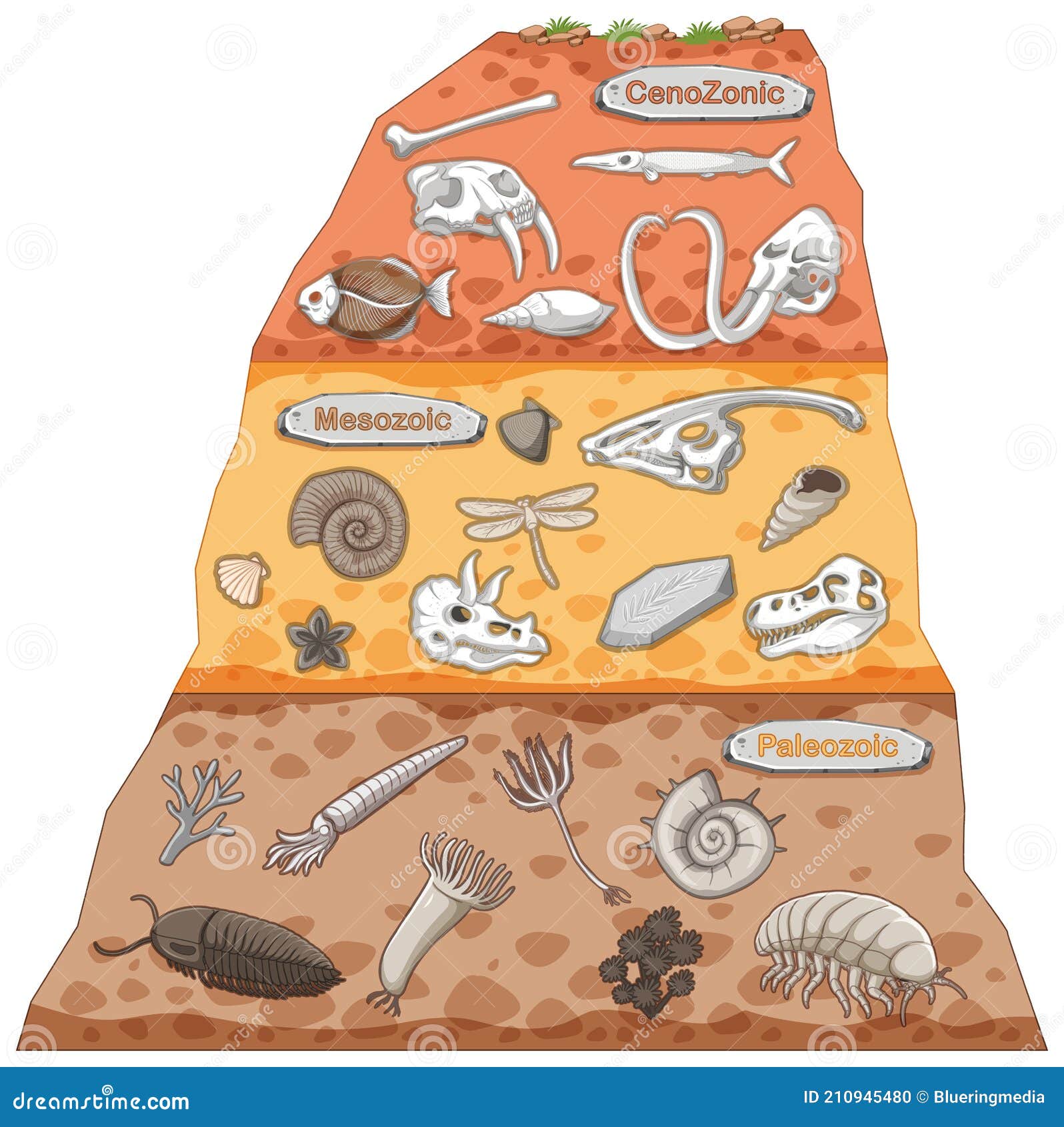 Three Different Eras of Earthâ€™s History Stock Vector - Illustration ...