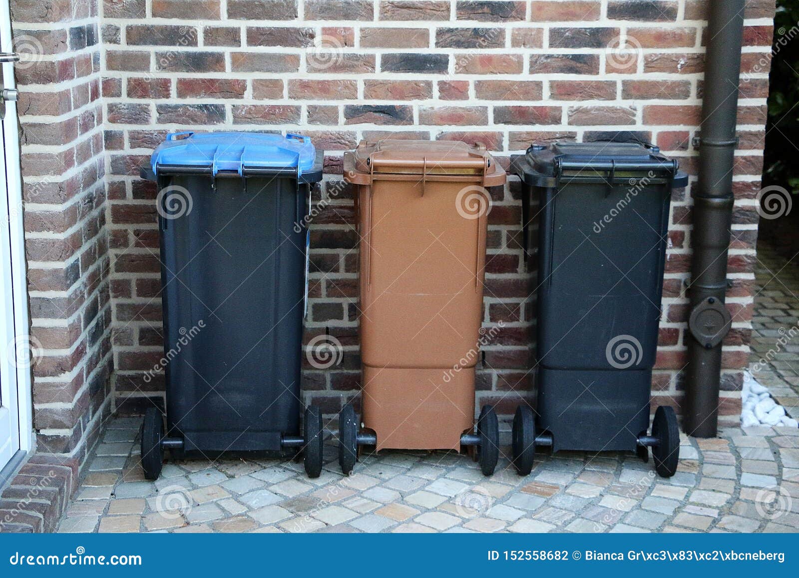 Three Different Plastic Carbage Cans are Standing at the House Wall in ...