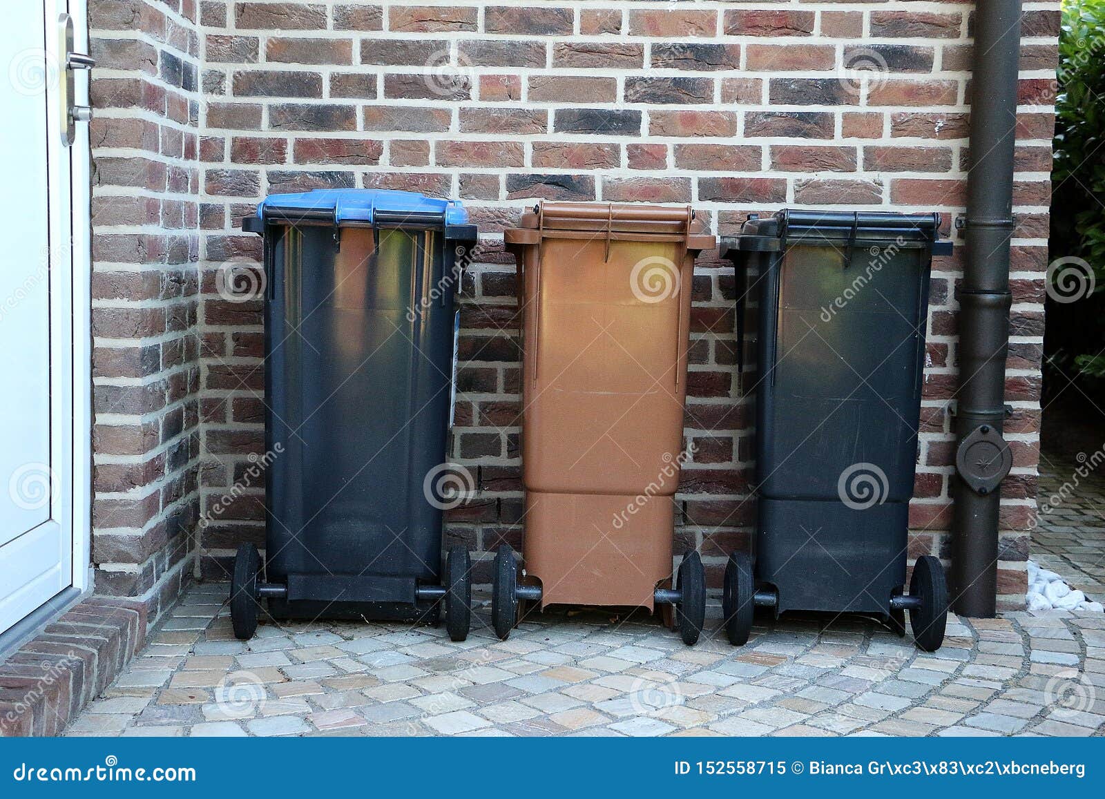 Carbage Stock Photos - Download 69 Royalty Free Photos