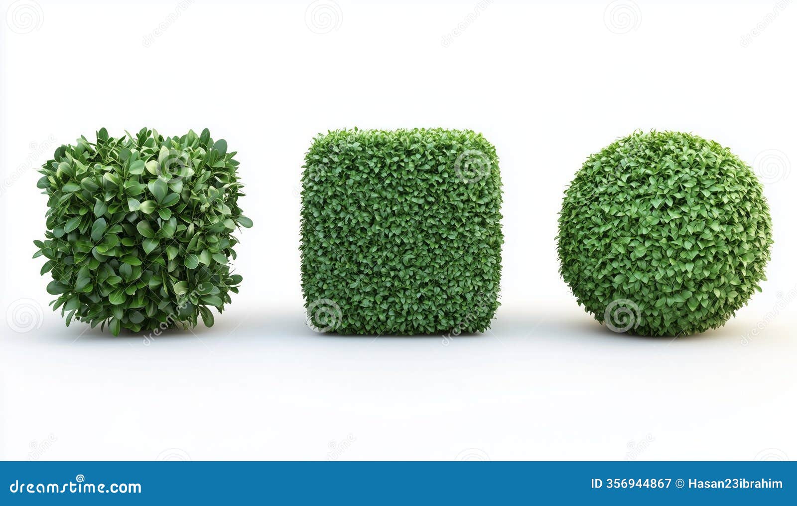 Three Different Shaped Green Shrubs: Cube, Square, and Sphere, Isolated ...
