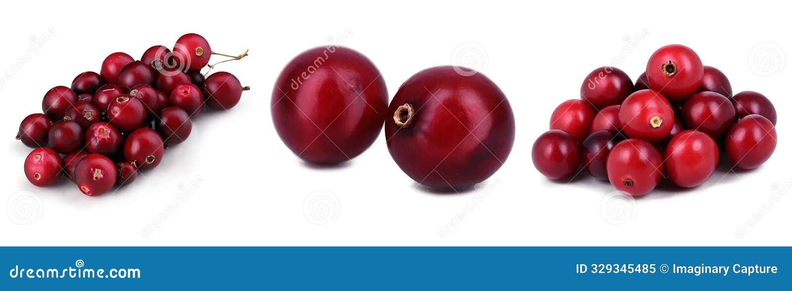 Three Different Types of Red Berries. Isolated on Transparent ...
