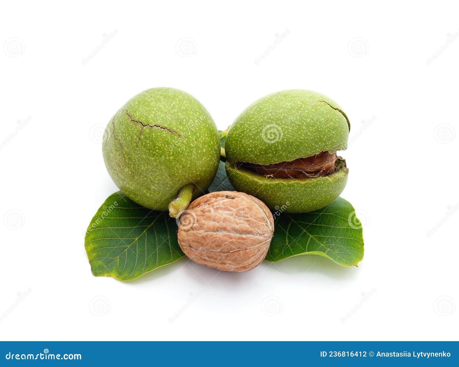 Three different walnuts stock photo. Image of background - 236816412