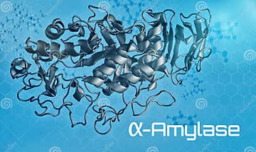 Three-dimensional Model of Alpha-Amylase Stock Illustration ...