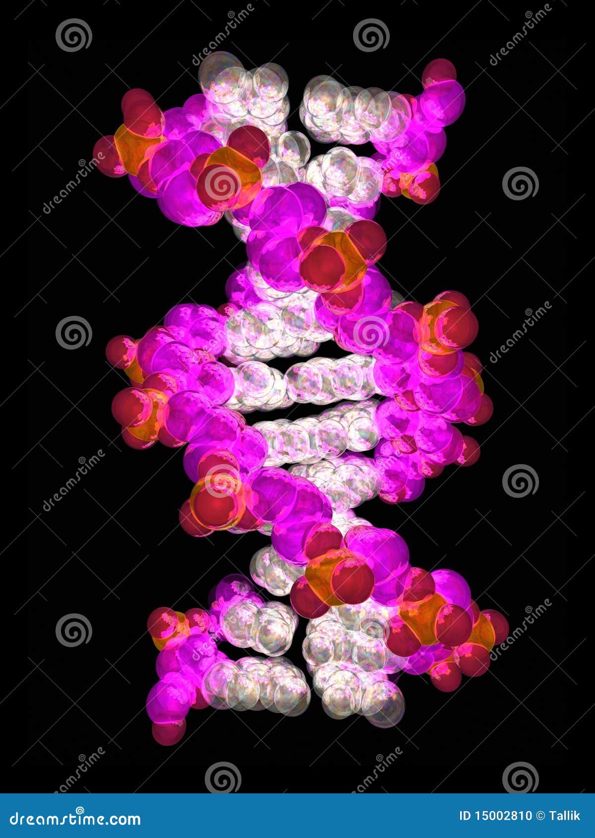 Accurate Three-quarter Anterior Or Front View Of The Arm Or Upper Limb ...