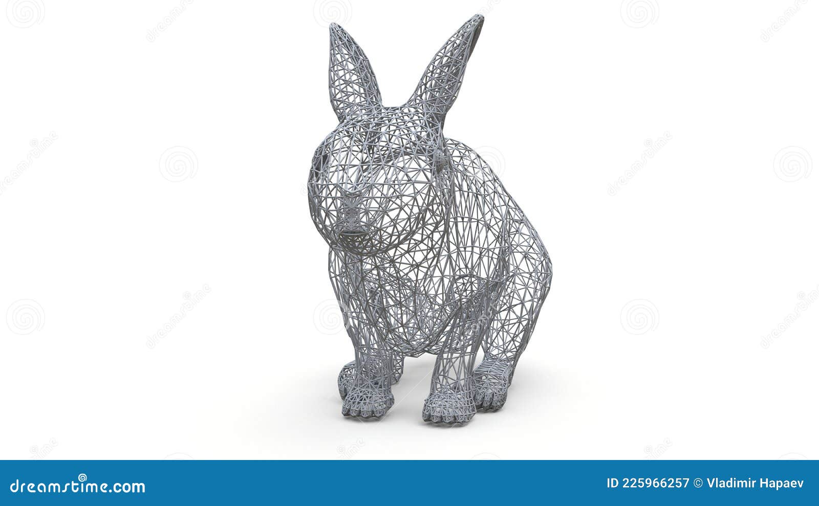 Three-dimensional Model of a Rabbit in the Form of a Spatial Framework ...