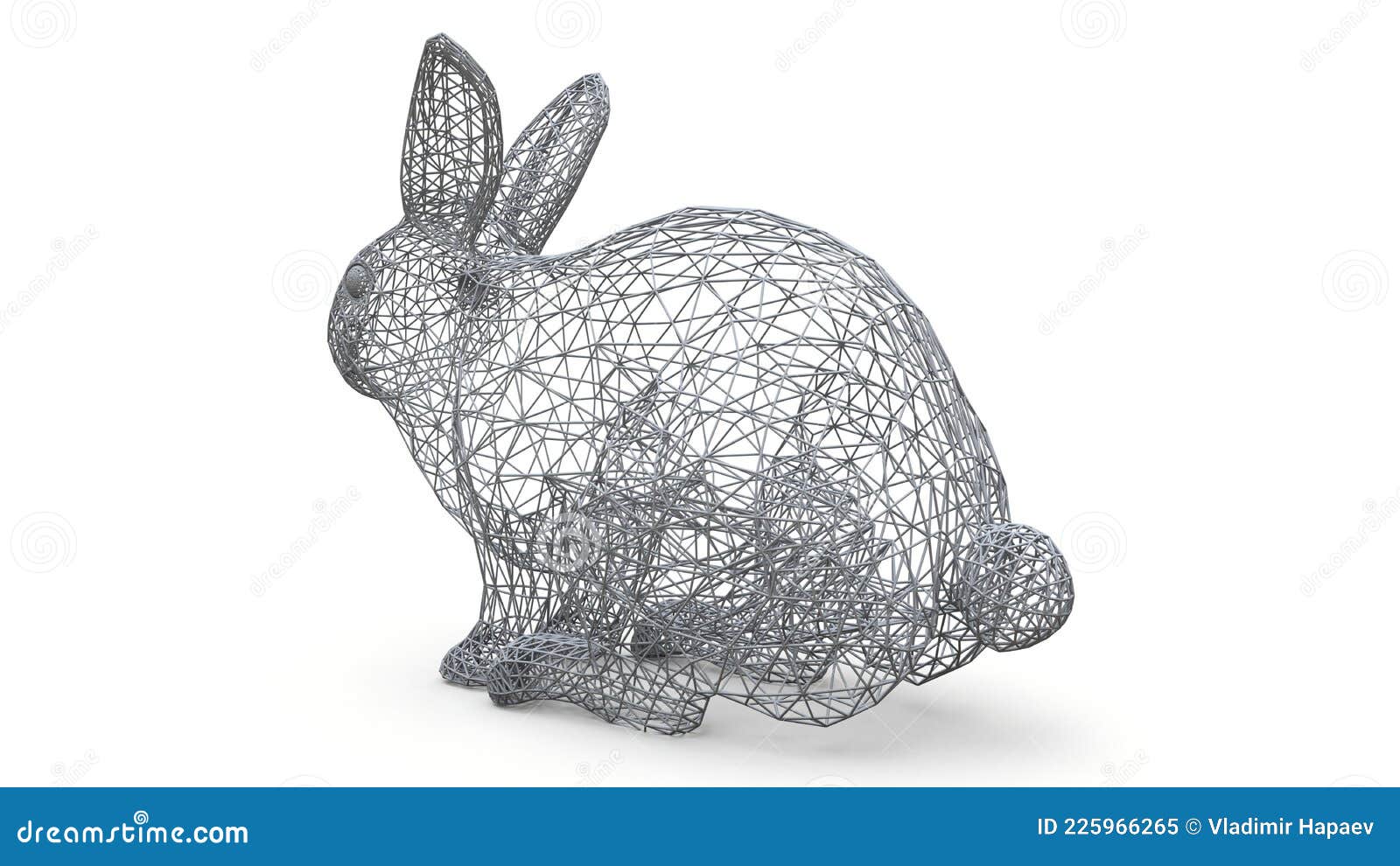 Three-dimensional Model of a Rabbit in the Form of a Spatial Framework ...