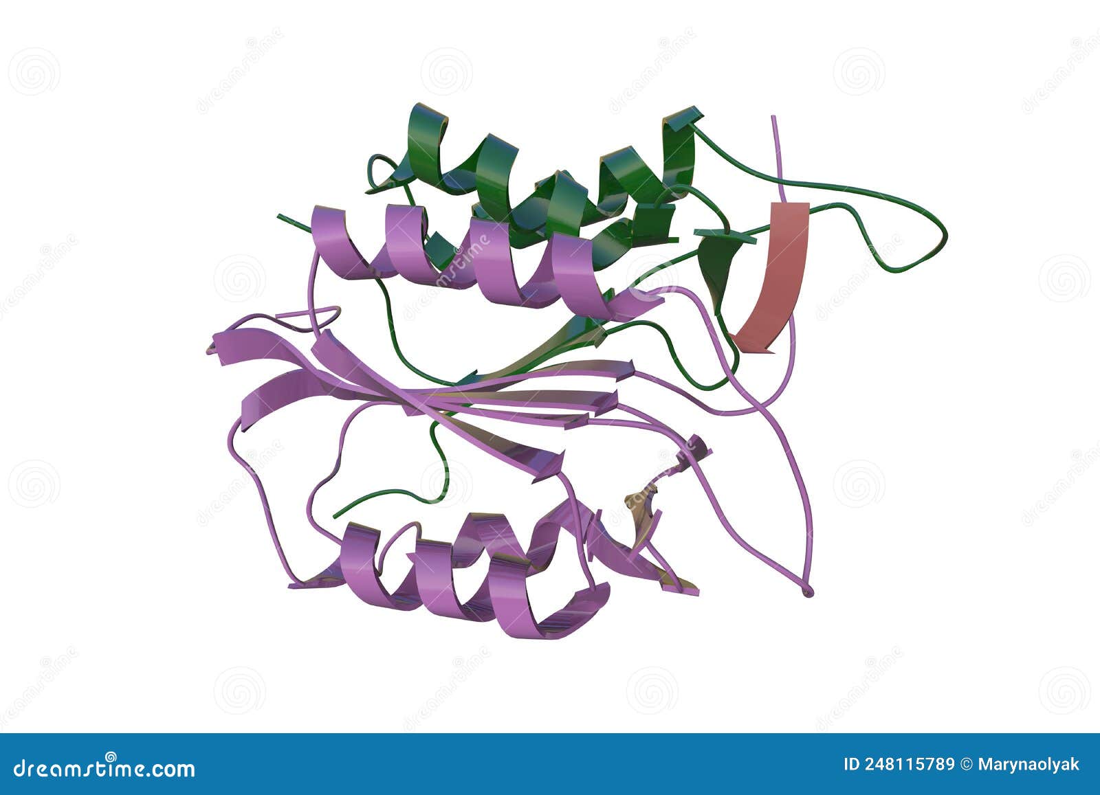 Three-dimensional Structure of Apopain with the Tetrapeptide Aldehyde ...
