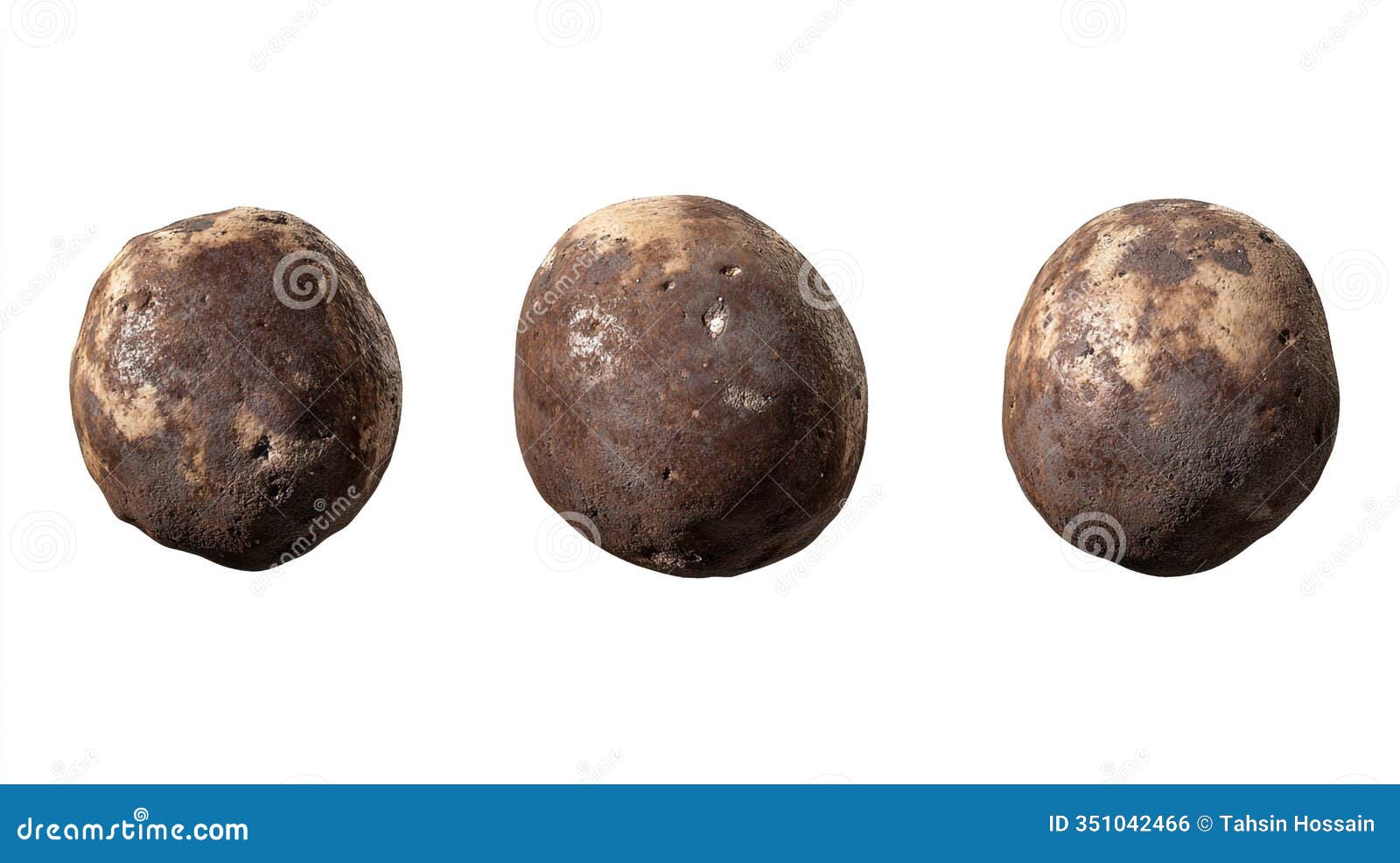 Unique Varieties of Potatoes Displayed on a White Background ...