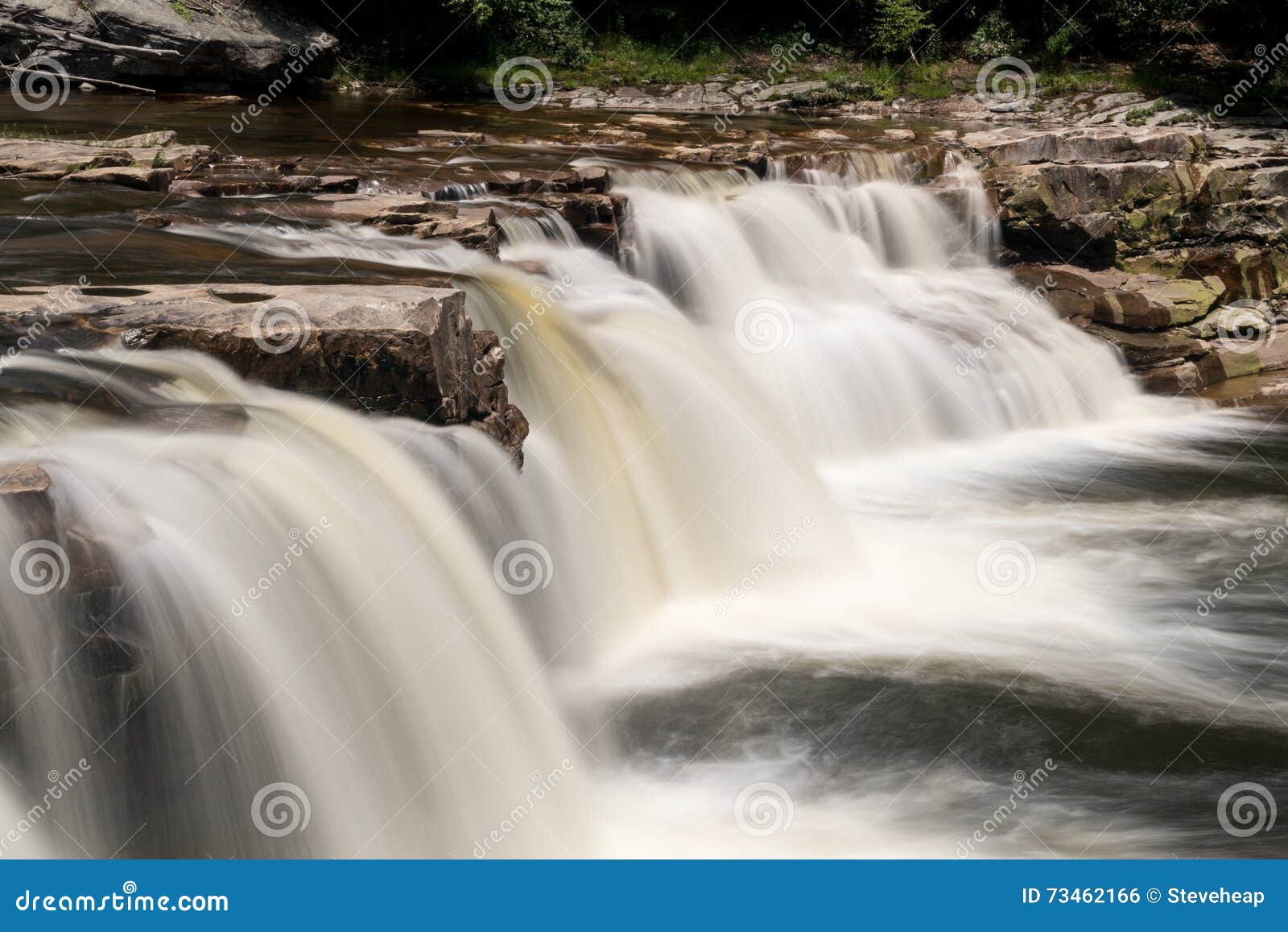 Shavers Fork Royalty-Free Stock Image | CartoonDealer.com #43941892