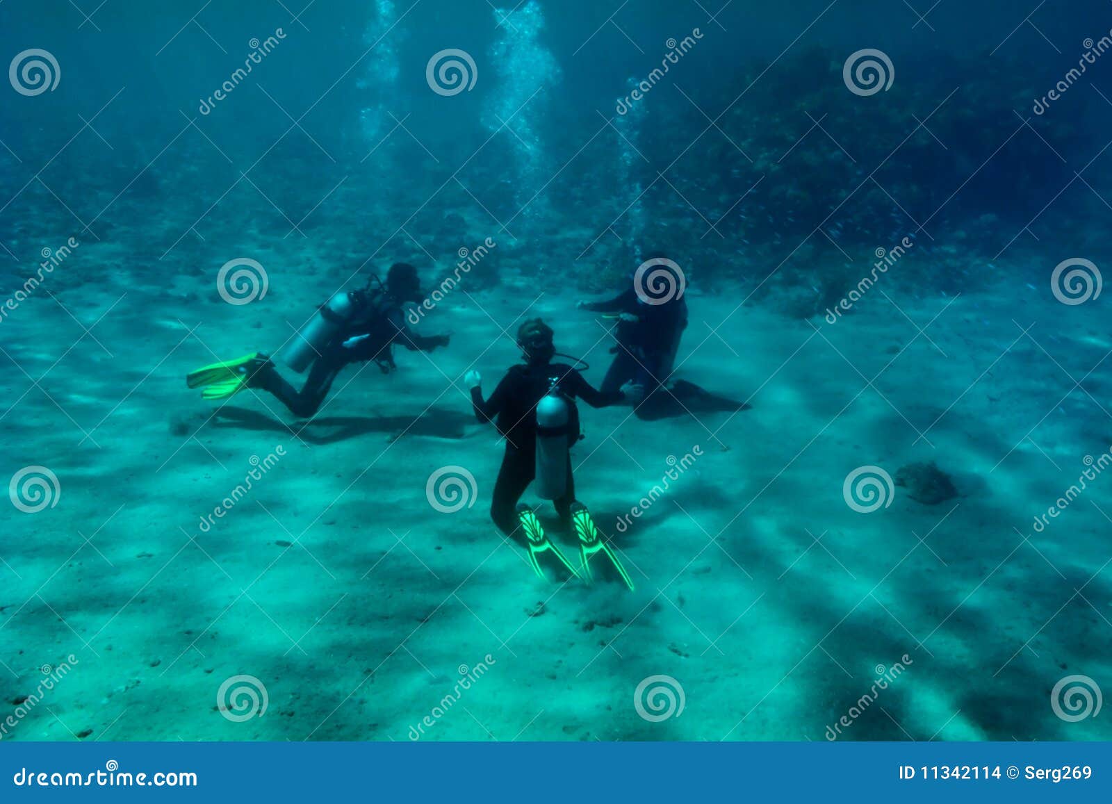 Three Divers are Training at the Sea Bottom Stock Photo - Image of ...