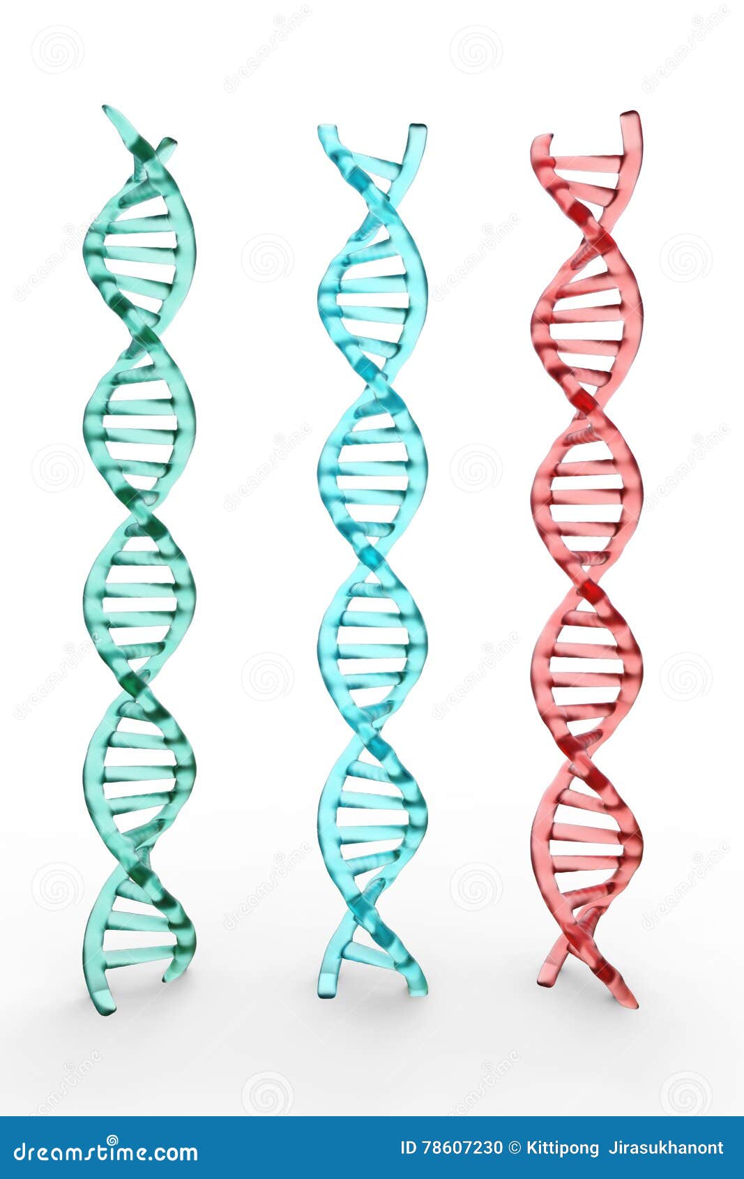 115 Dna Structures Stock Photos - Free & Royalty-Free Stock Photos from ...