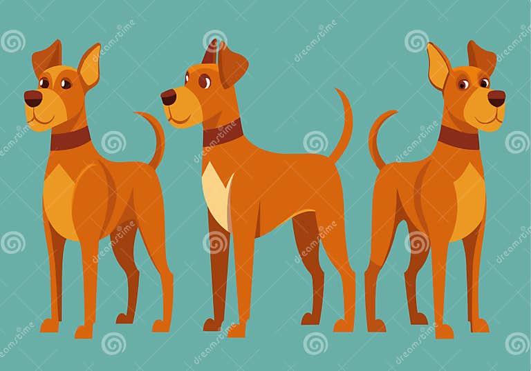 Three Dogs are Standing in a Row, Each with a Different Expression ...