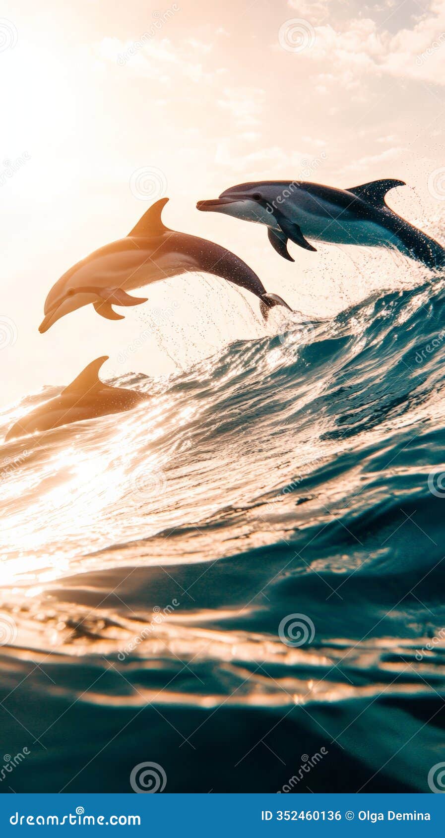 Dolphins Jumping Ocean Wave at Sunset Stock Photo - Image of jumping, vertebrate: 352460136