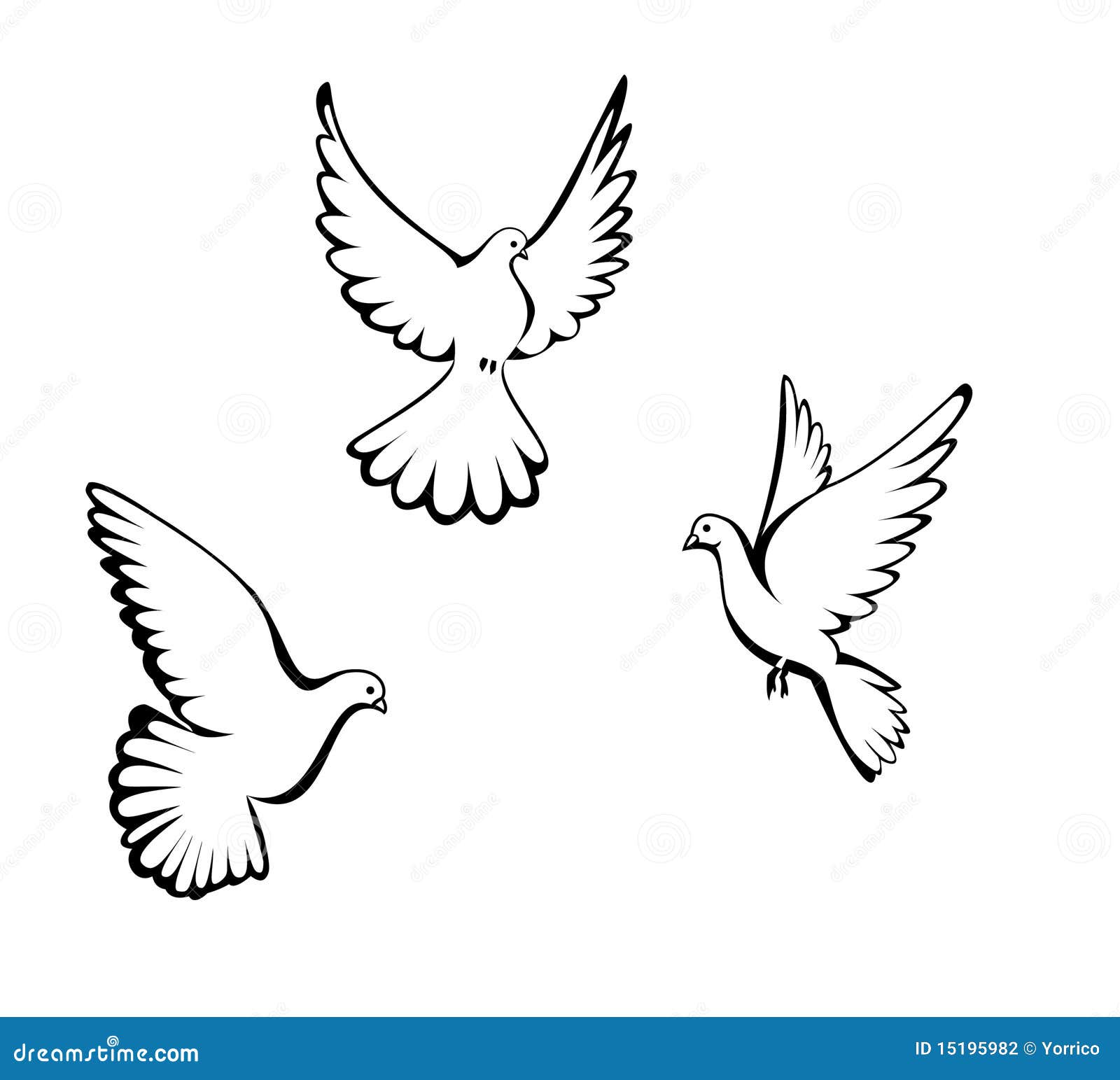Dove Stock Photography | CartoonDealer.com #15791234