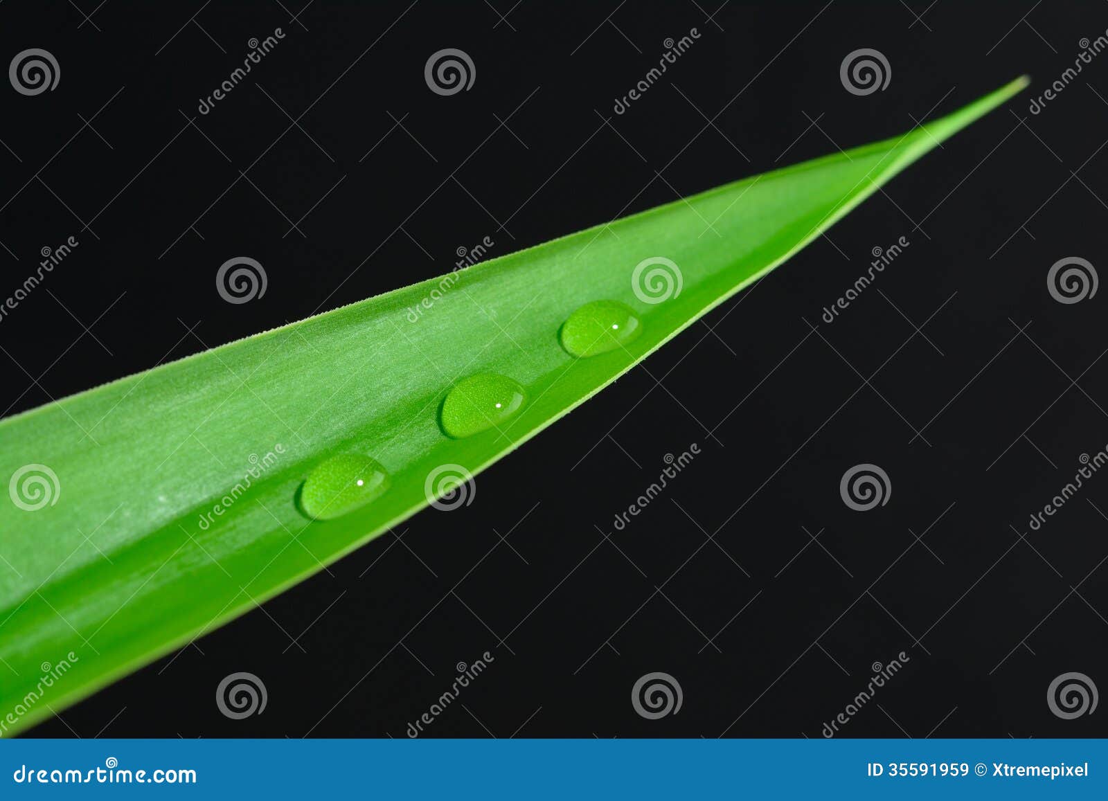 Three droplets stock image. Image of triple, droplets - 35591959