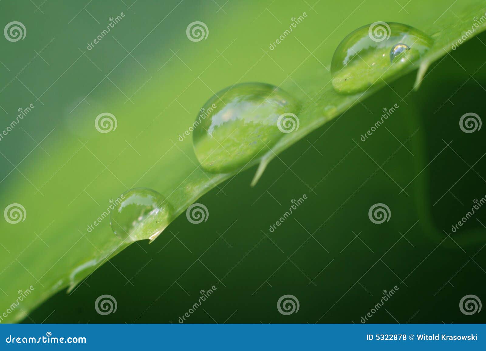 Three drops stock photo. Image of macro, formulation, mirror - 5322878