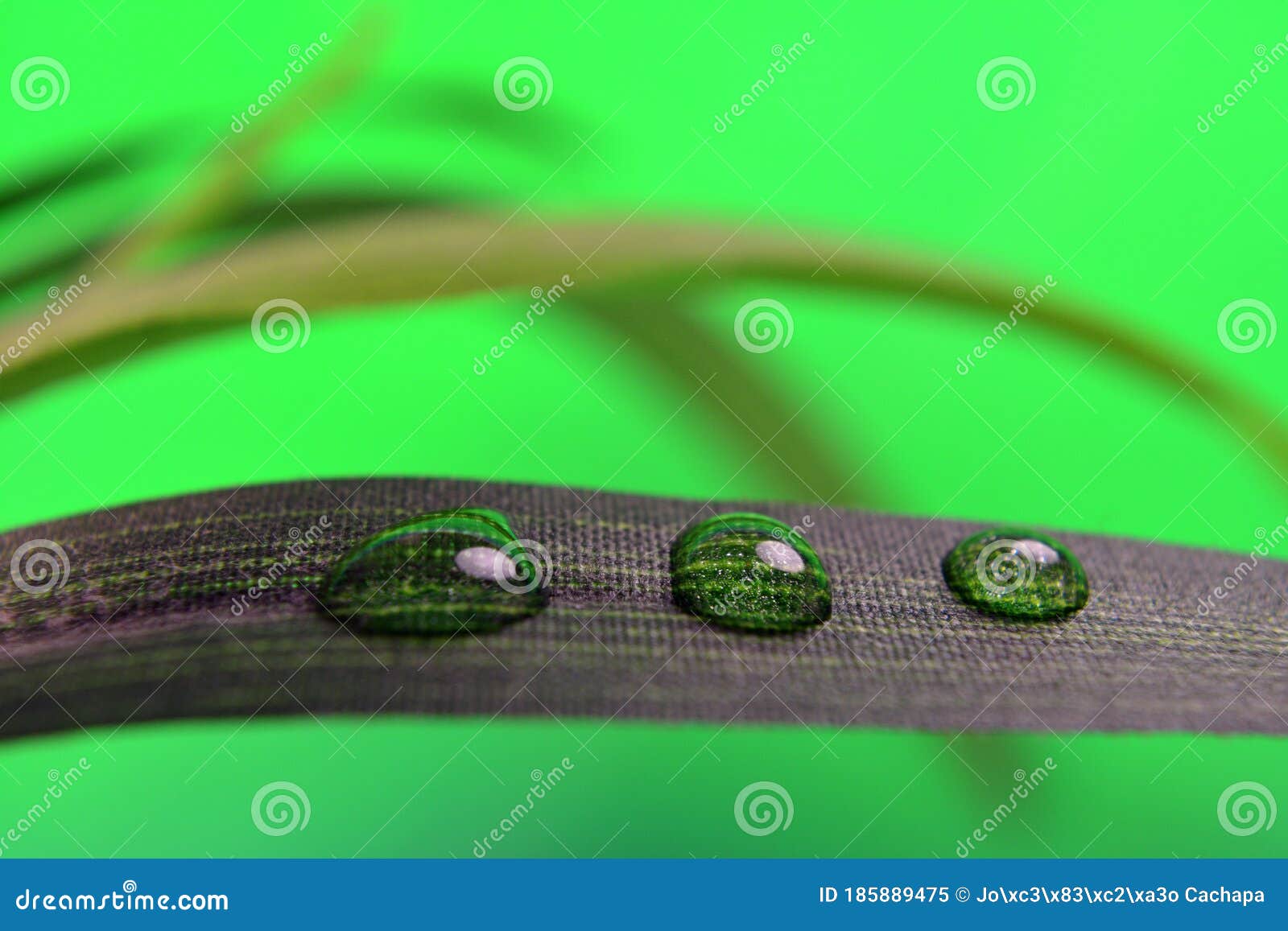 Three Drops On Wood Texture Stock Photography | CartoonDealer.com #78525878