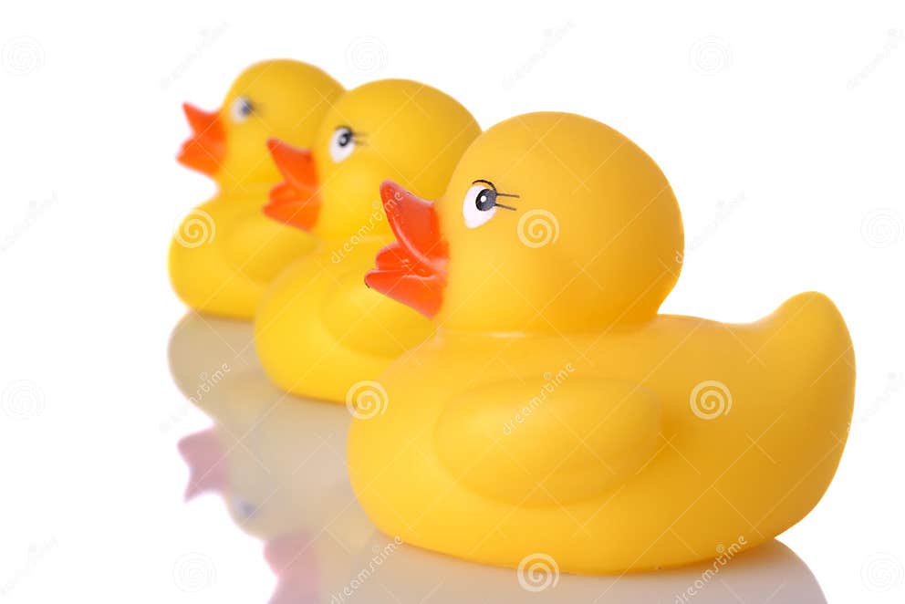 The Three Ducks stock image. Image of lineup, duckling - 7885917