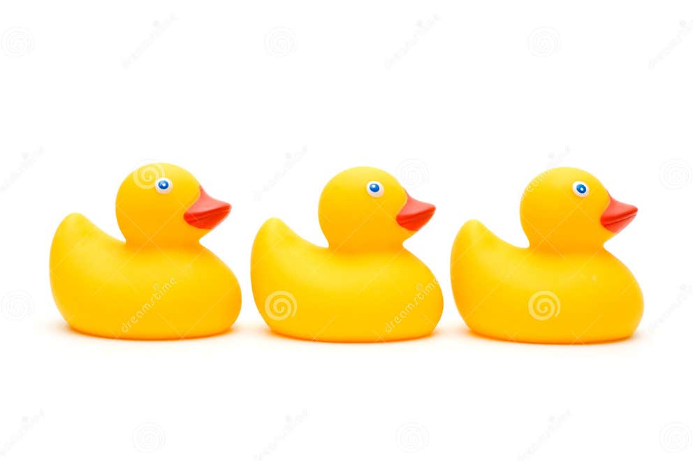 The three ducks isolated stock image. Image of rubber - 4680039
