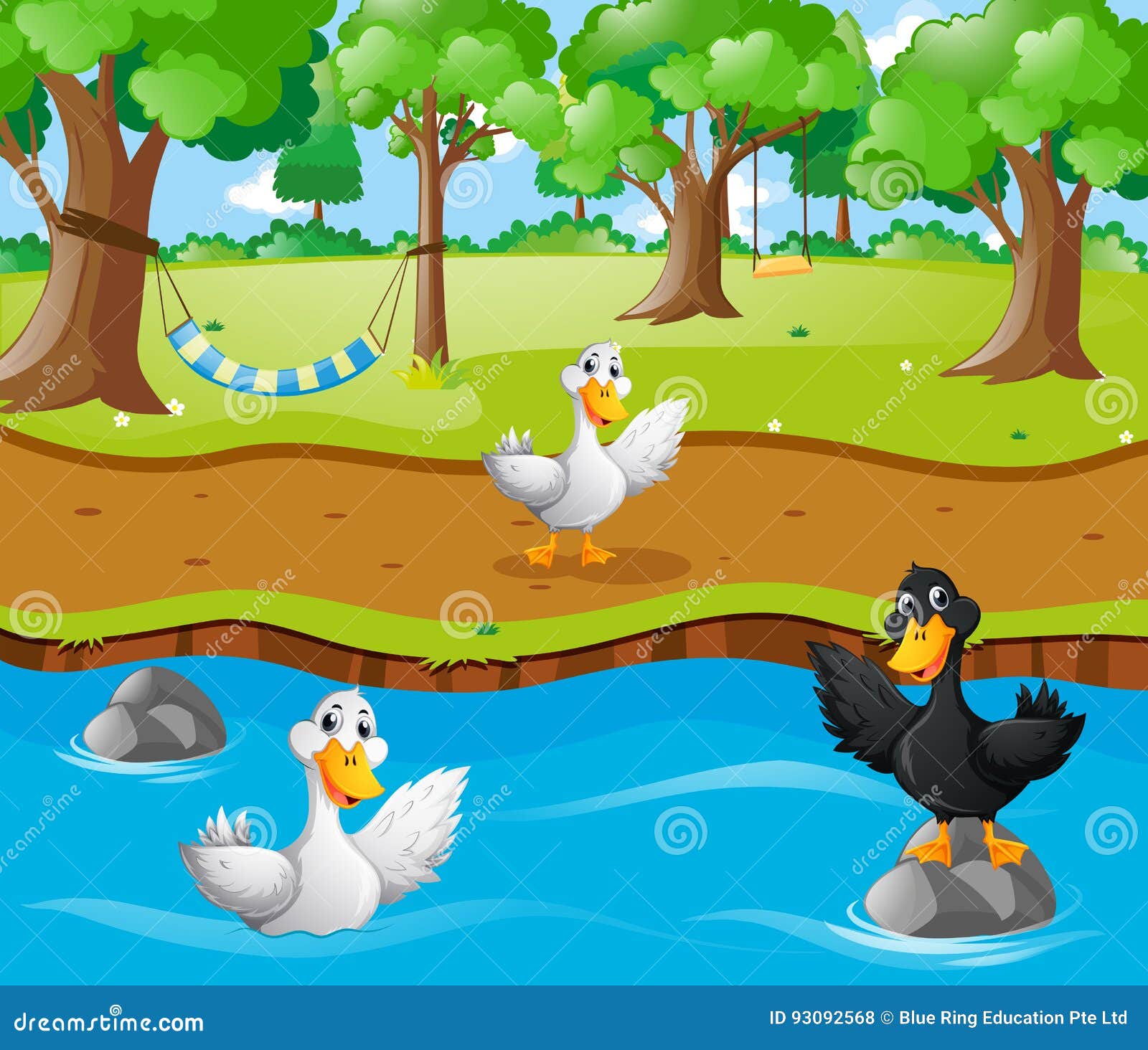 Three ducks in the river stock vector. Illustration of woods - 93092568