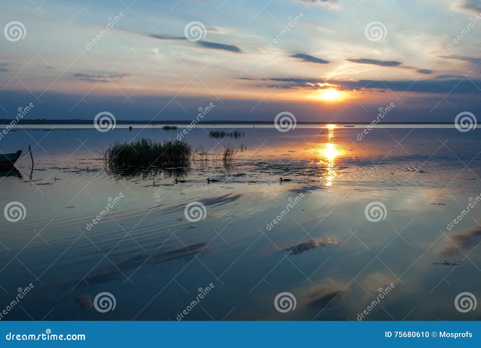 Wave Spoiling Stock Photos - Free & Royalty-Free Stock Photos from ...