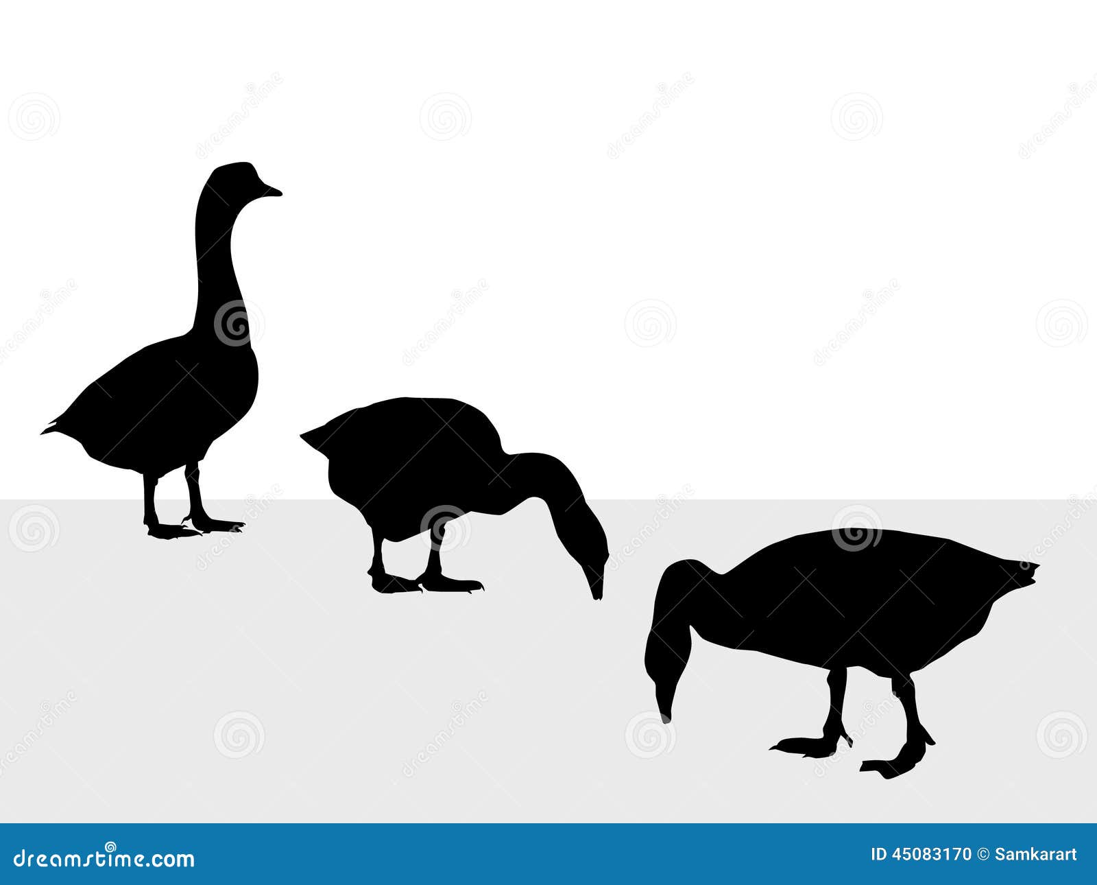 Three Ducks-vector stock vector. Illustration of summer - 45083170