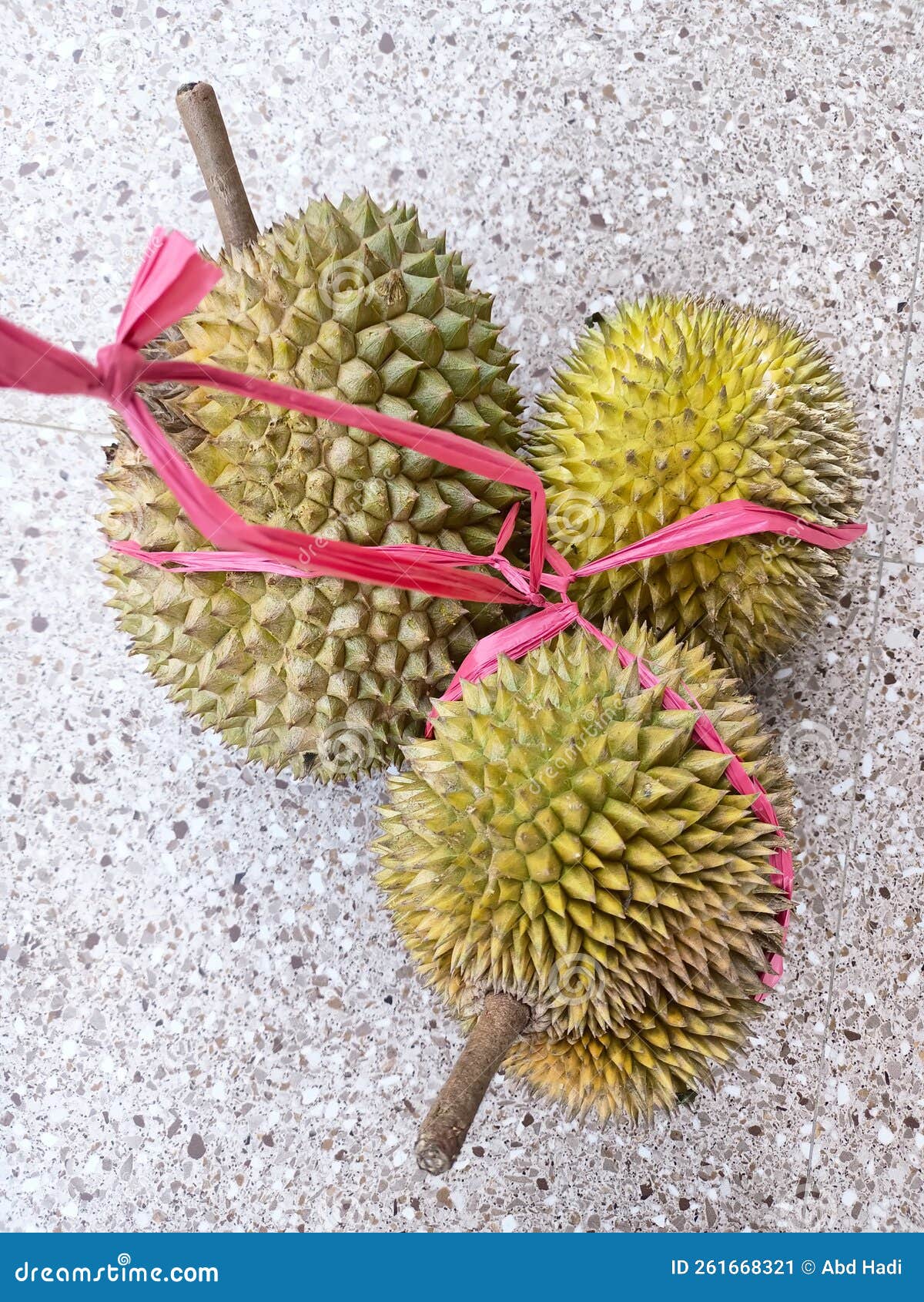Three Durians stock image. Image of indonesia, malaysia - 261668321