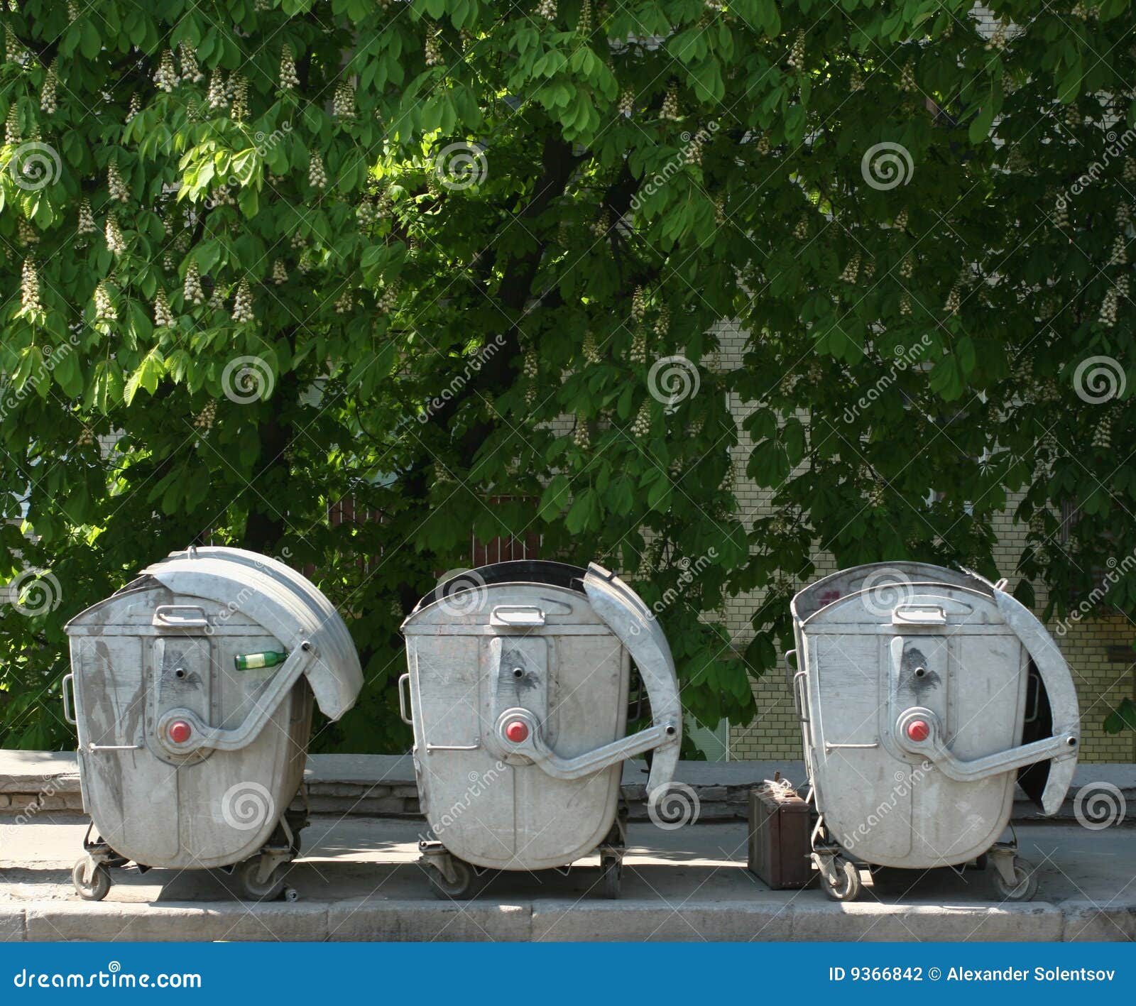 Three dustbin stock photo. Image of container, cleanup - 9366842