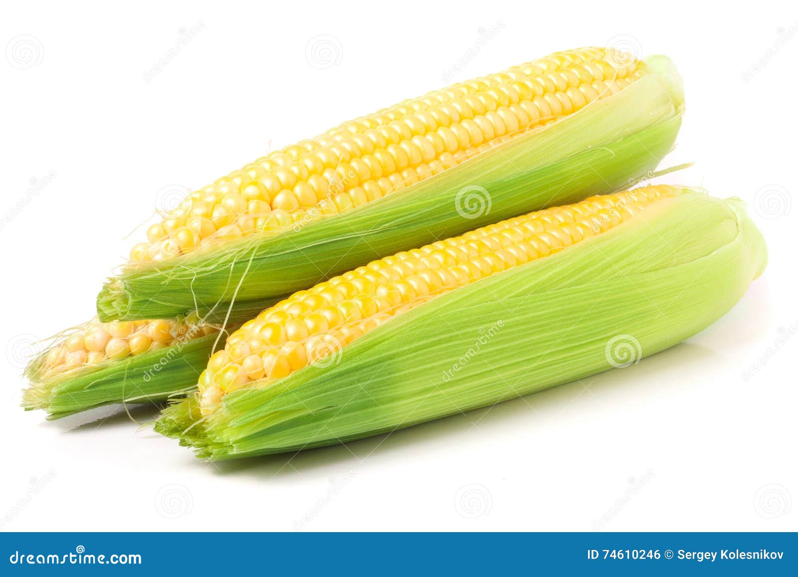 Three Ear of Corn with Leaves Isolated on White Background Stock Photo ...