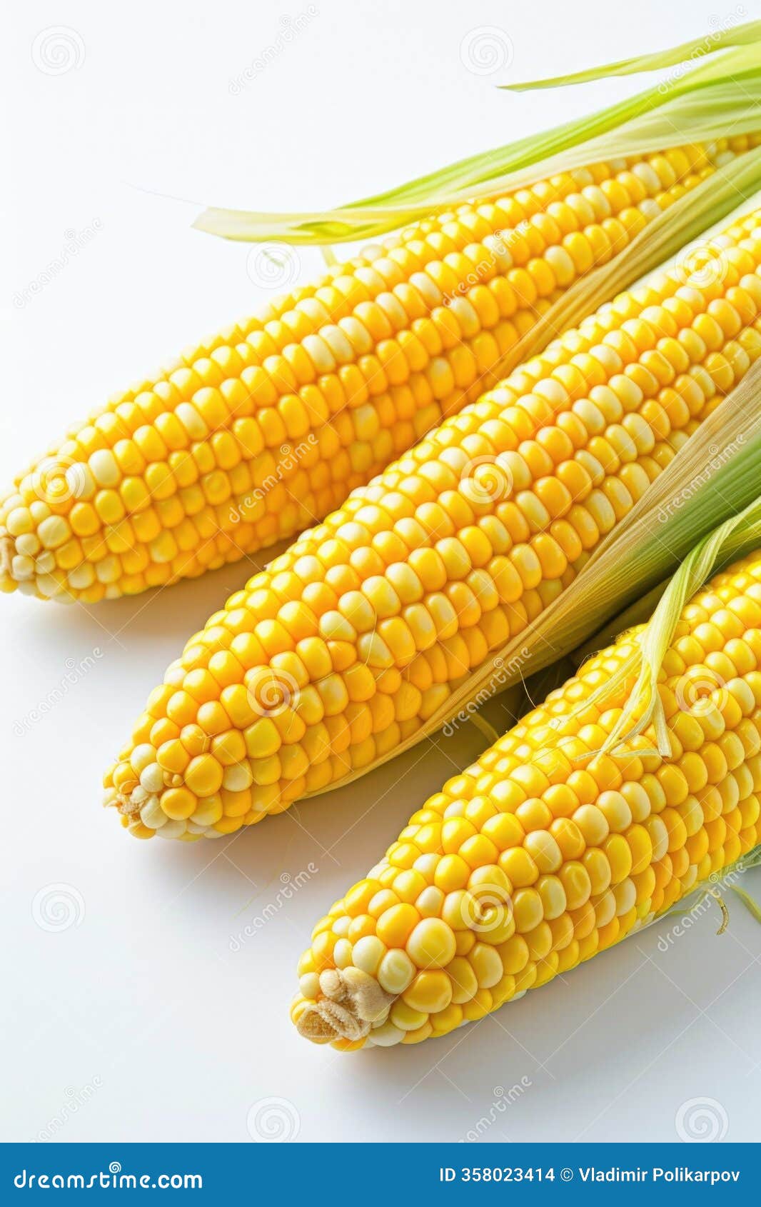 Three Ears of Corn Placed on a White Surface Stock Photo - Image of ...
