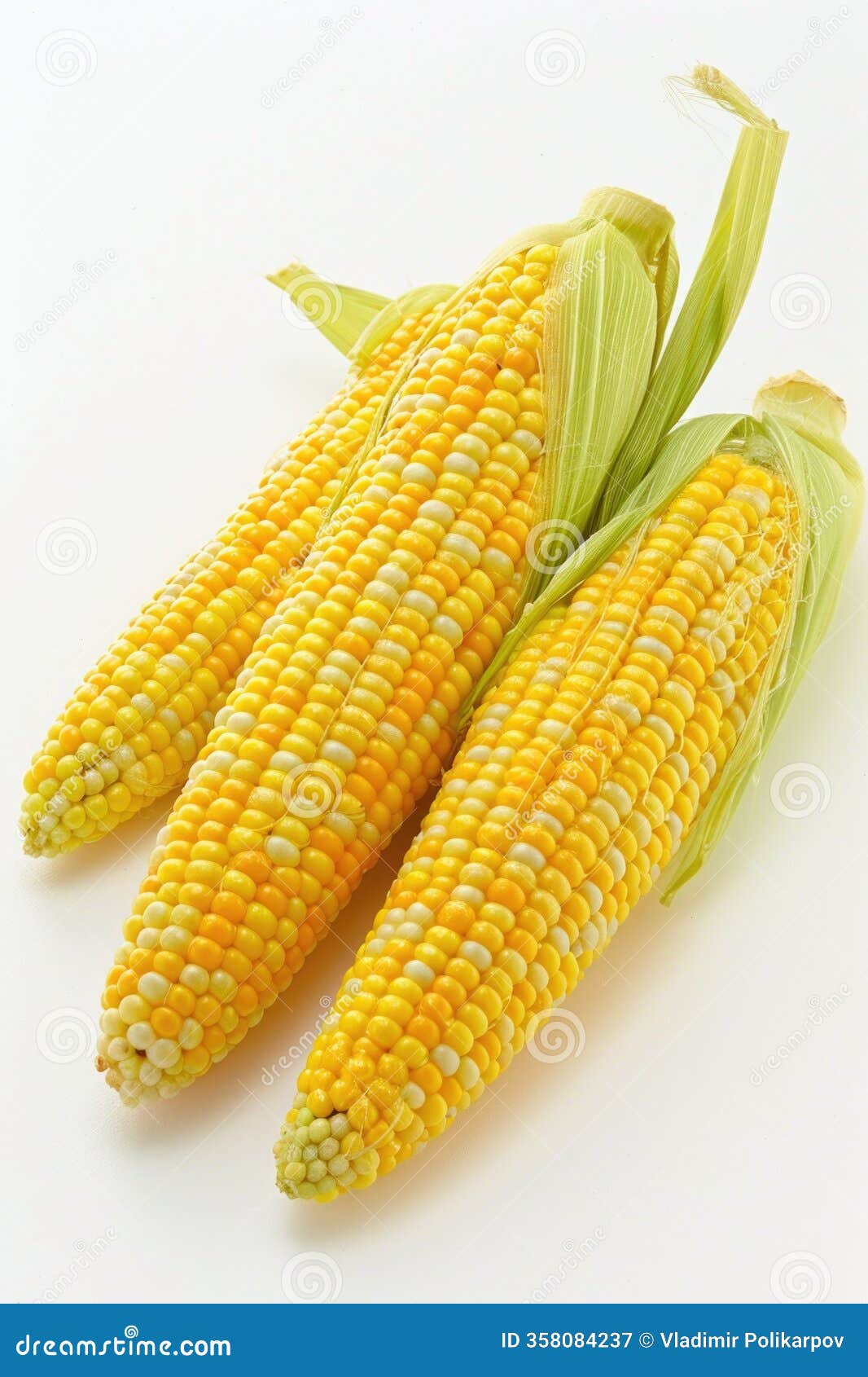 Three Ears of Corn Sit on a White Surface Stock Image - Image of ...