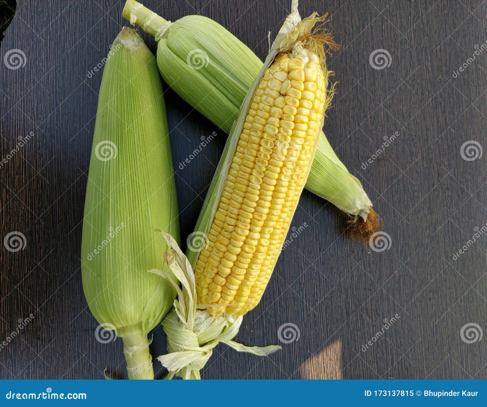 Three Ears of Corn, Two of Them are with Husk and One with Half Husk on ...