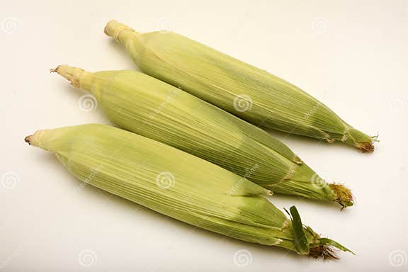 Three Ears of Corn on a White Background. a Printed Cob Stock Photo ...