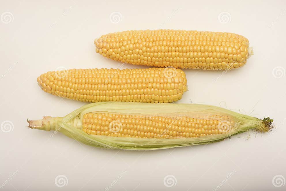 Three Ears of Corn on a White Background. a Printed Cob Stock Image ...