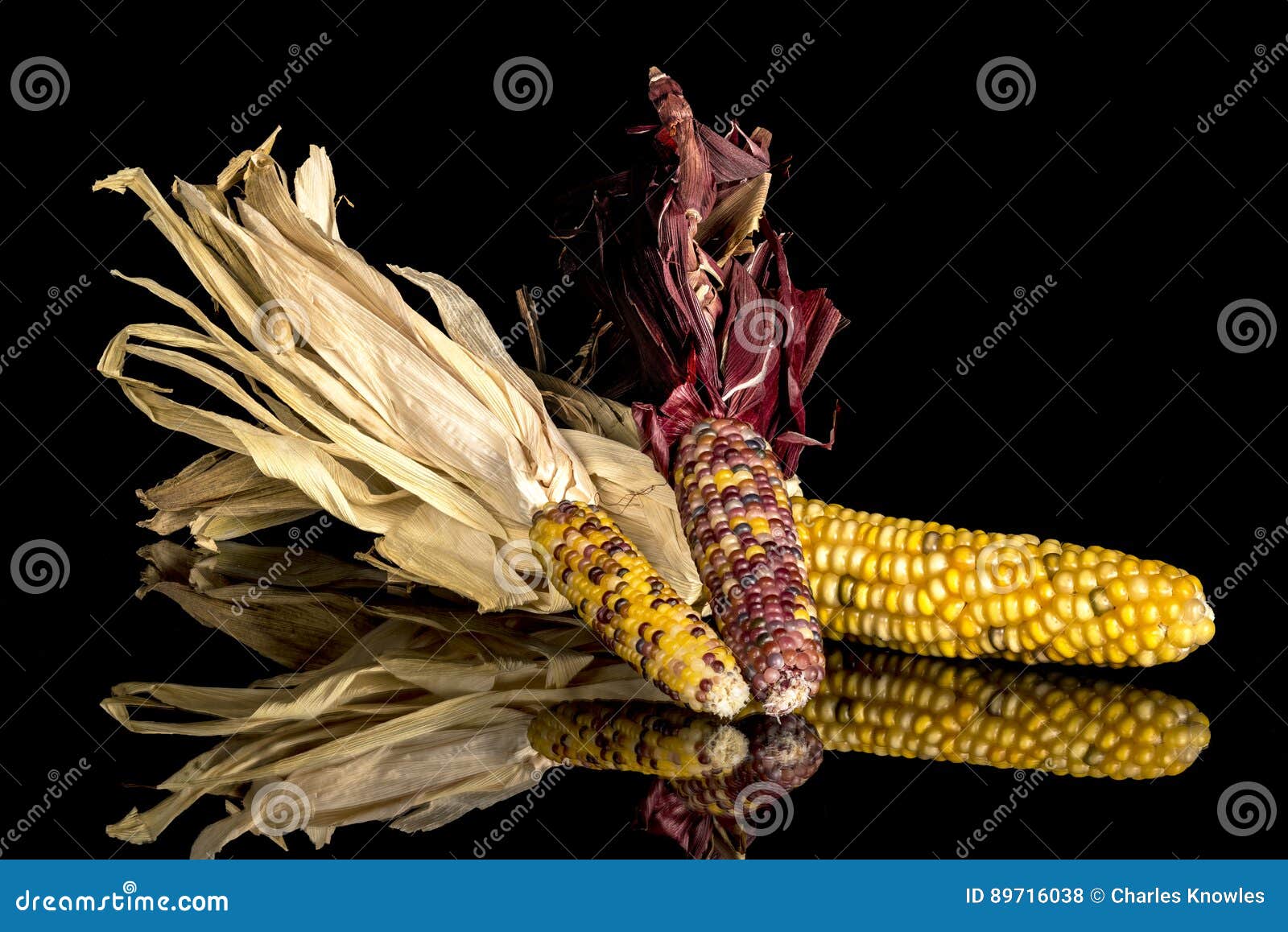Three Ears of Indian Corn on a Table Stock Photo - Image of close ...