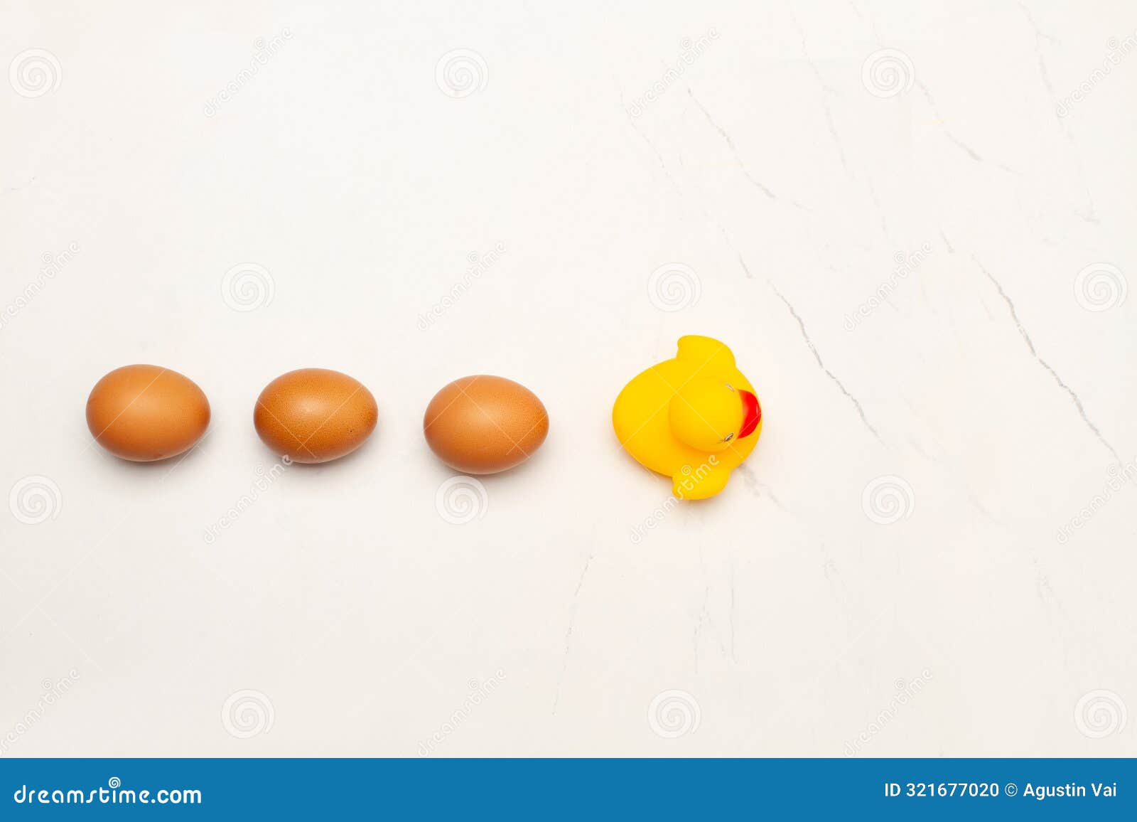 Three Eggs and a Rubber Duck on a Marble Kitchen Counter Stock Photo ...