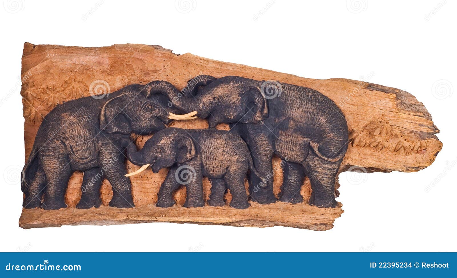 Three elephant stock photo. Image of asia, teak, three - 22395234
