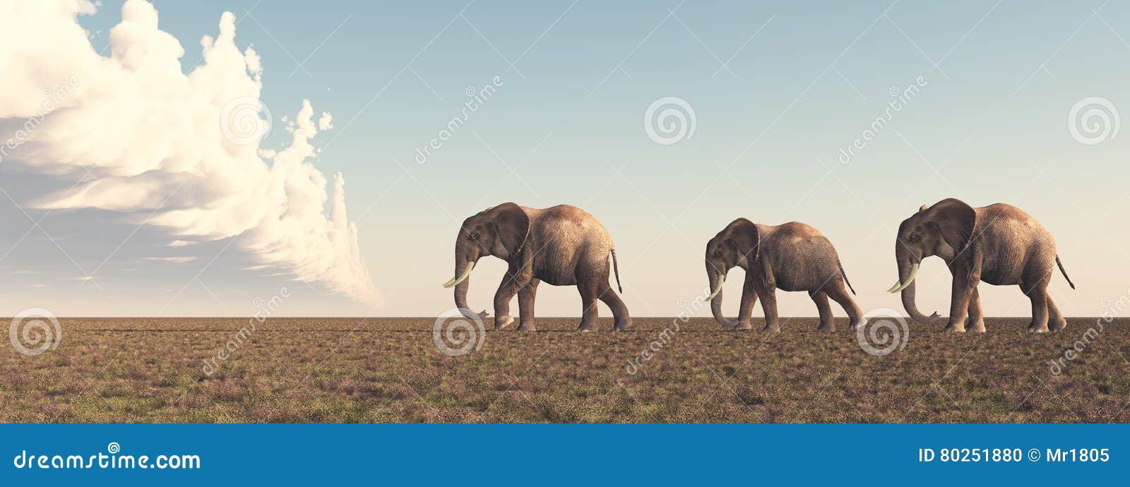 Three Elephants Stock Image | CartoonDealer.com #49431541